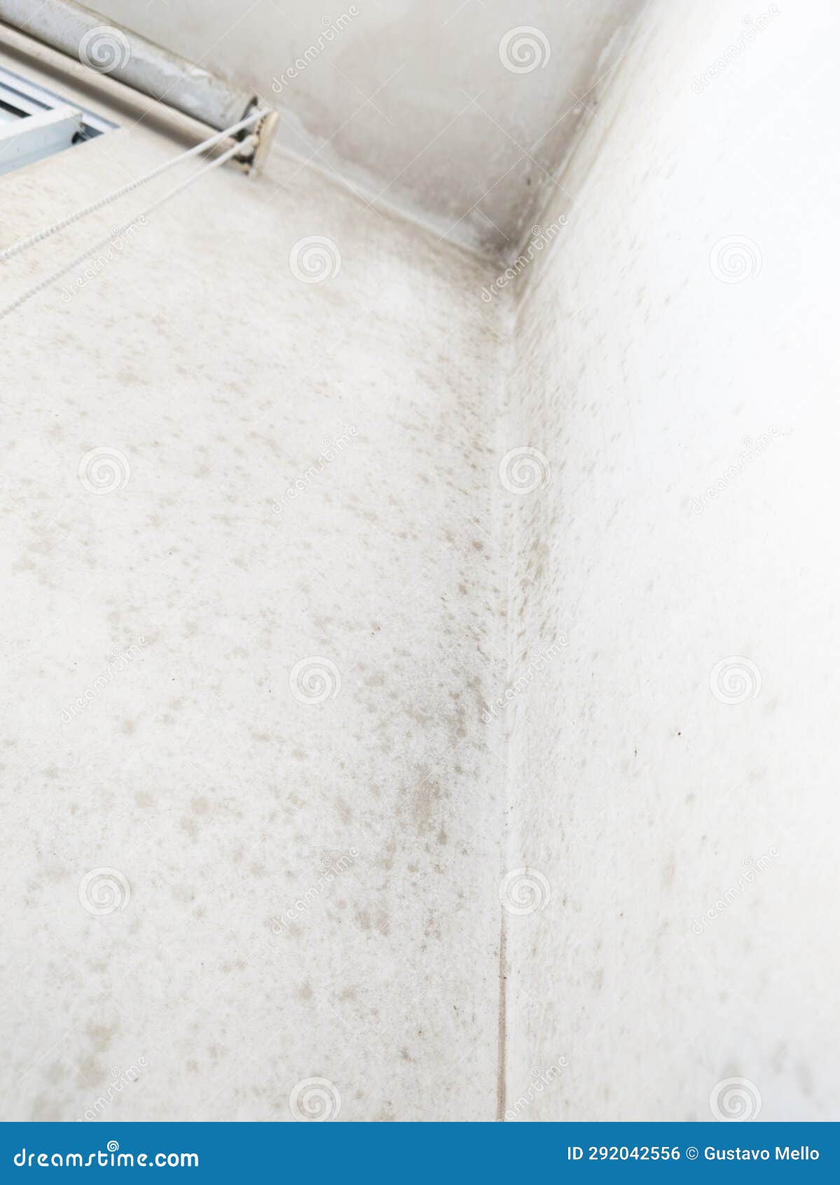 White Wall with Mold and Fungus Problem. Moisture Problem Stock Photo ...