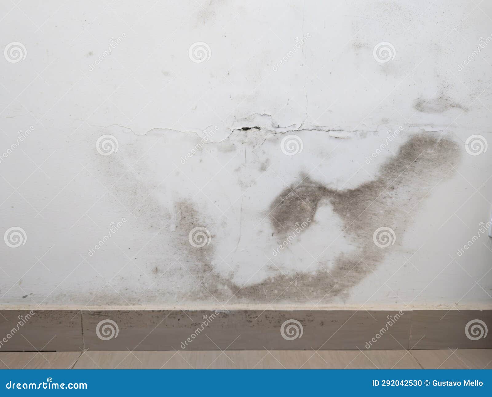 White Wall with Mold and Fungus Problem. Moisture Problem Stock Photo ...