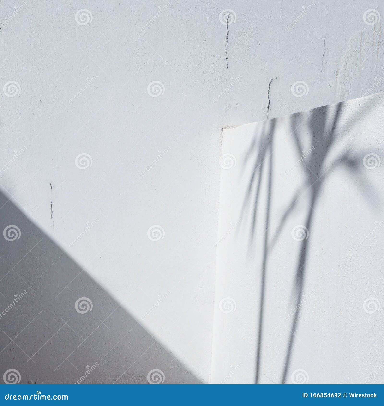 White Wall with Plant Shadows on it - a Cool Picture for Backgrounds ...