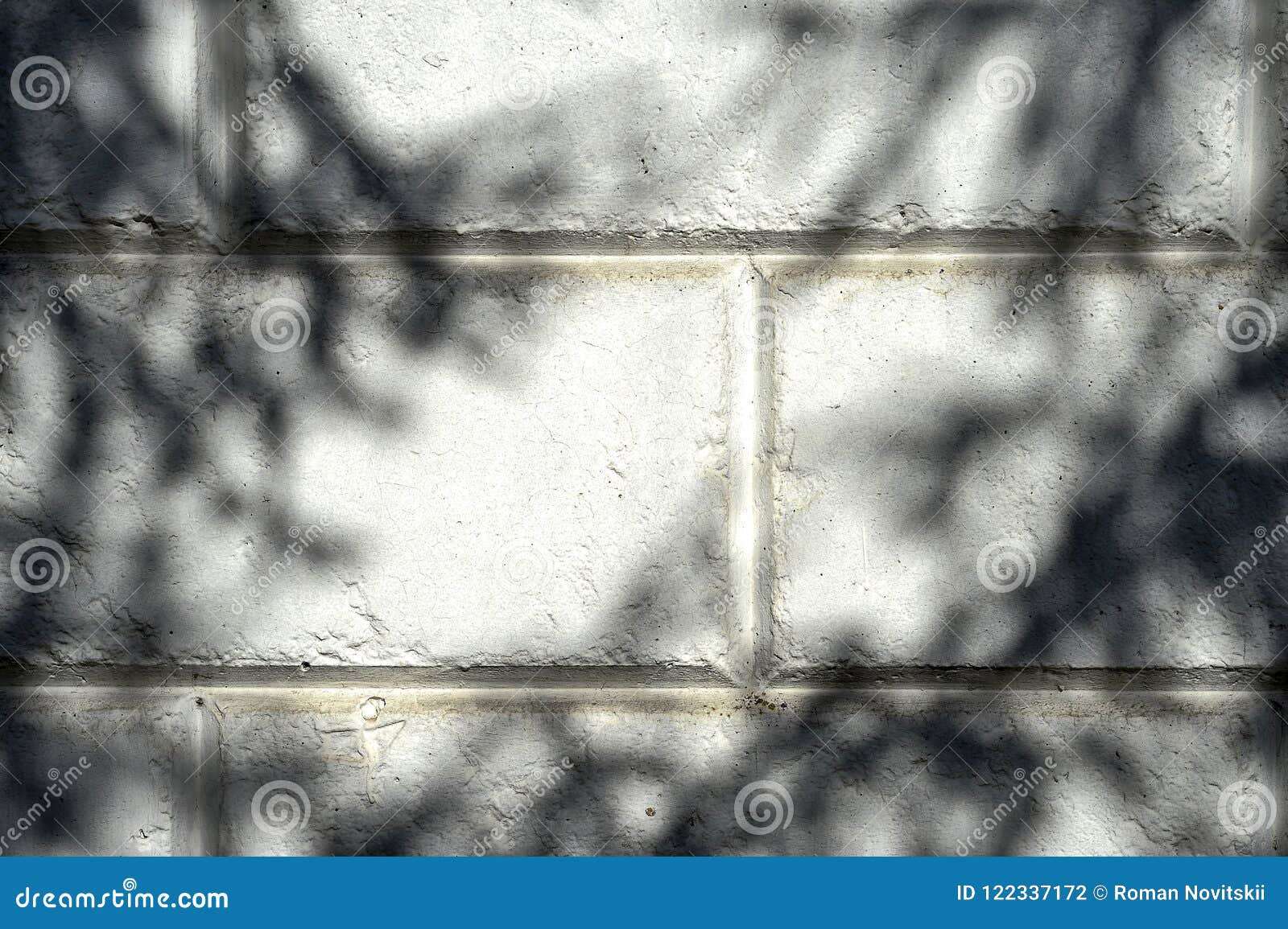 Fuzzy White Wall with Shadows from the Branches of Trees. Background ...