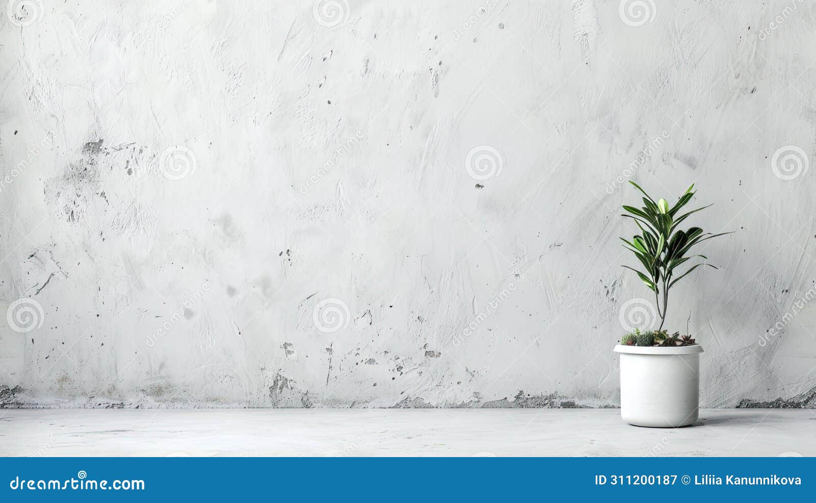 A White Wall with Subtle Structures in the Plaster, Emphasizing the ...