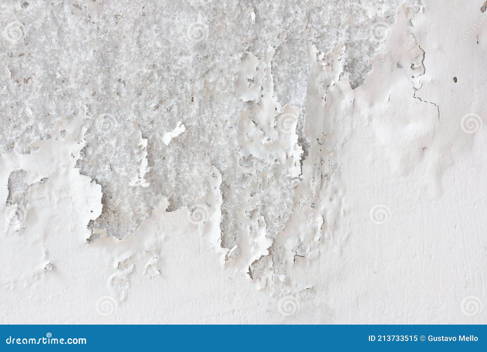 White Wall Texture Peeled and Cracked with Mold Stock Image - Image of ...