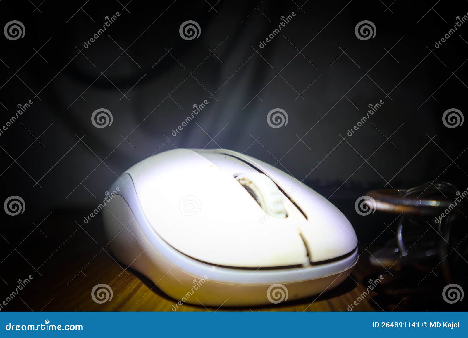 White warless mouse stock image. Image of mouse, darkness - 264891141