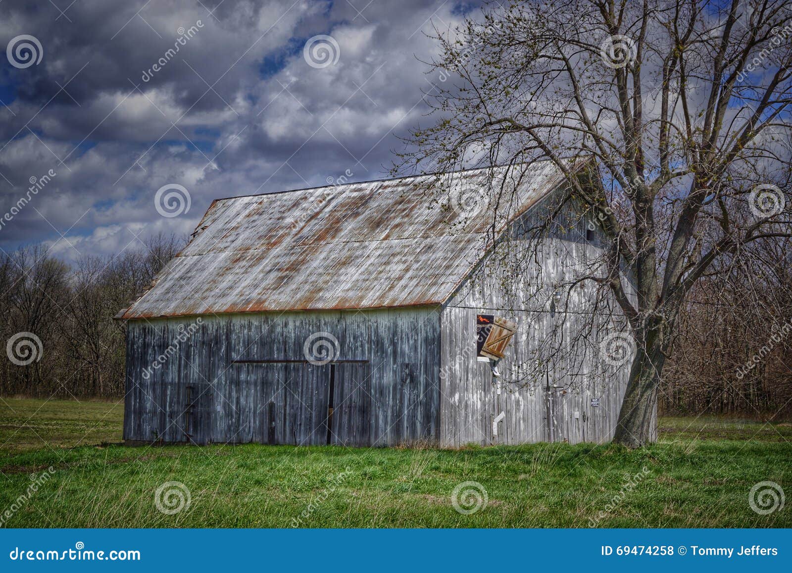 White Washed Old Barn with Tree Stock Photo - Image of washed, farming ...