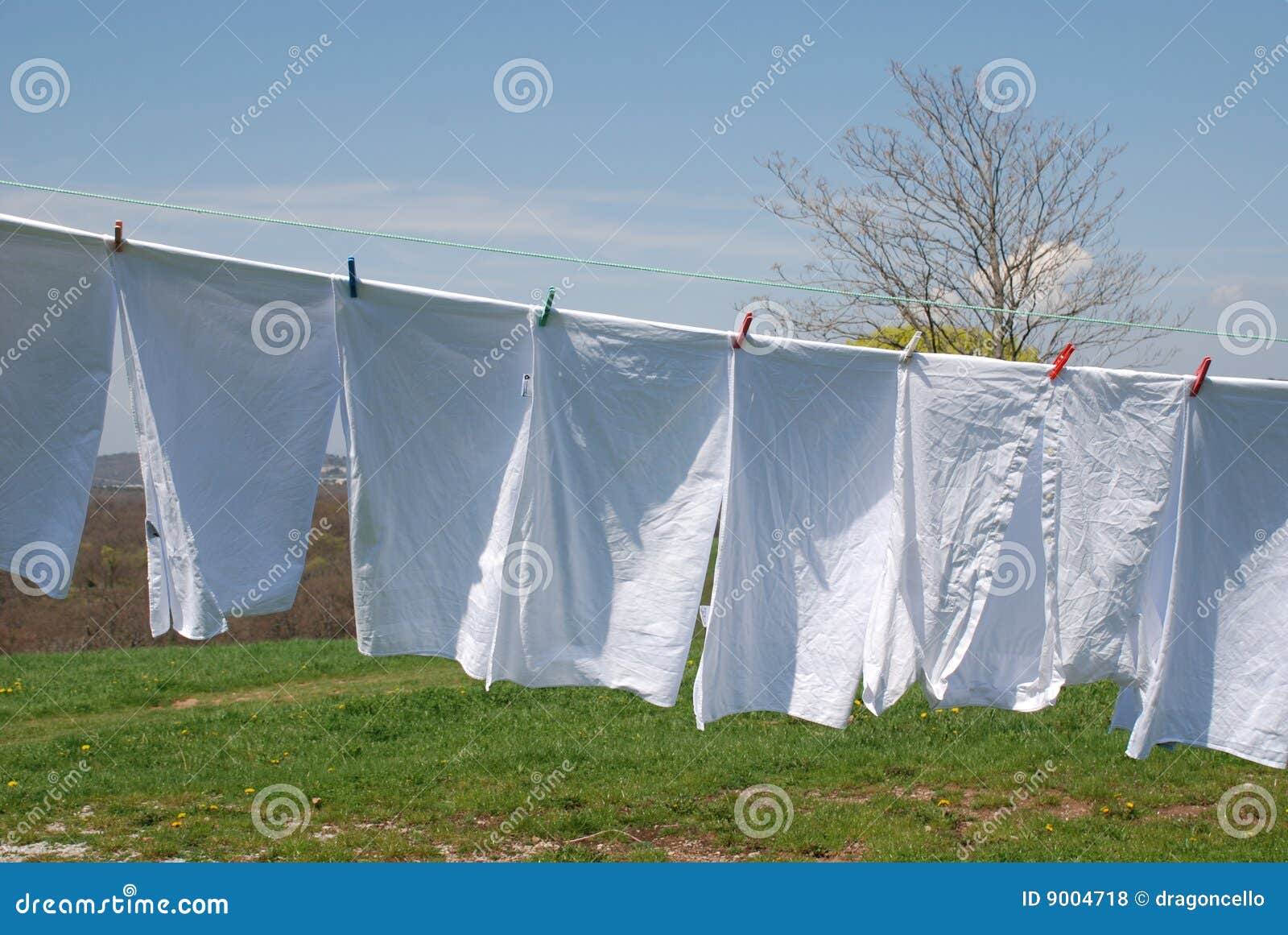 White Washing stock photo. Image of slovene, rural, spring - 9004718