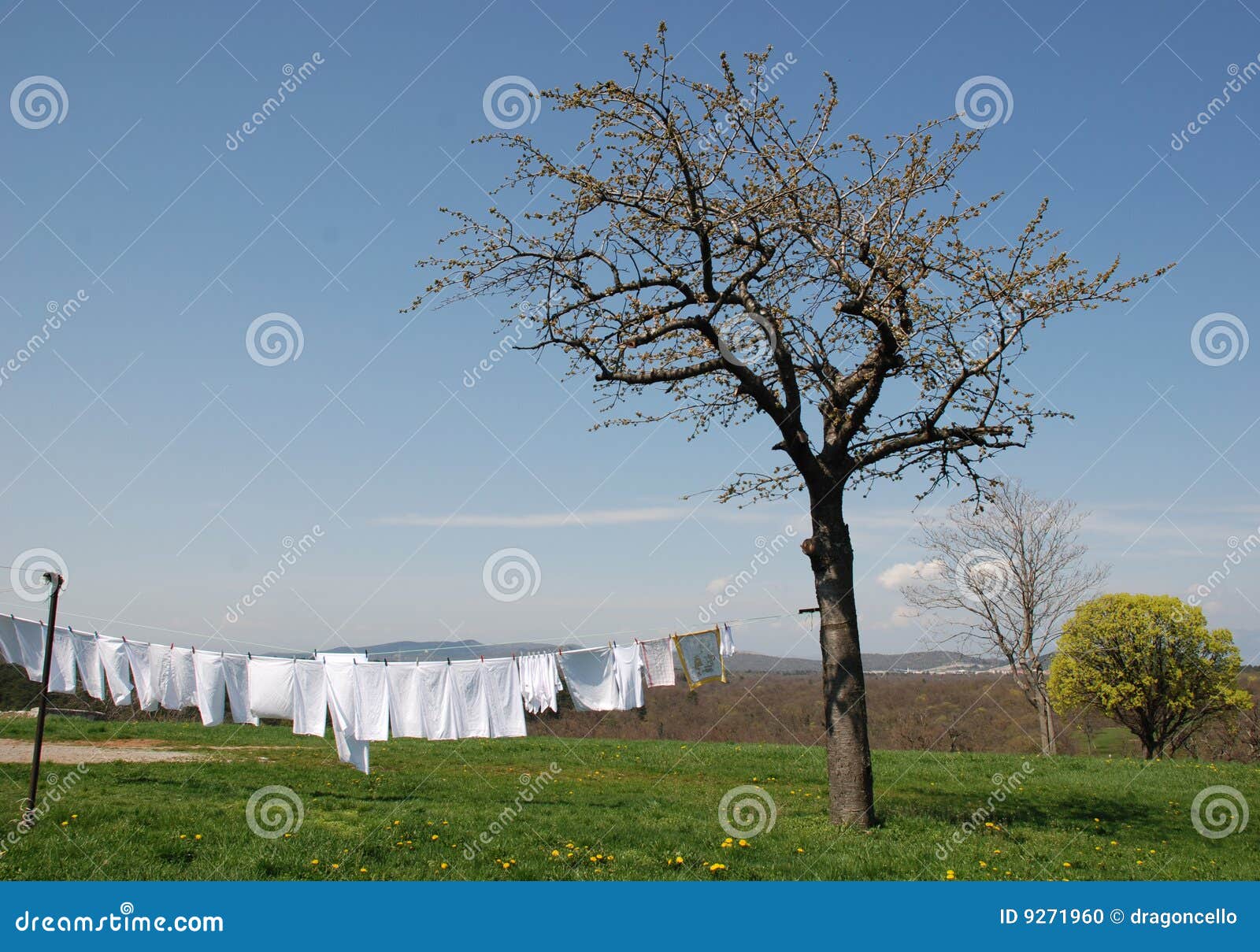 White Washing on Clothes Line Stock Photo - Image of europe, slovenia ...
