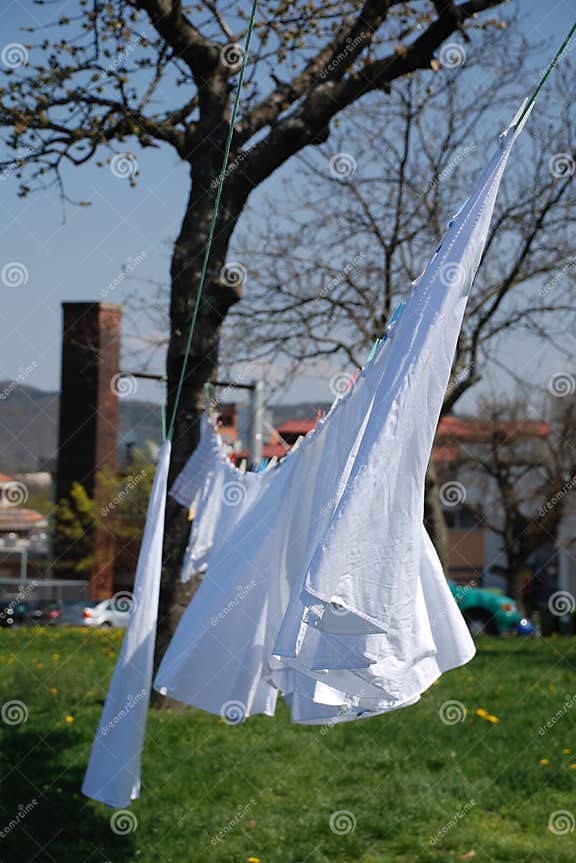 White Washing on Line stock image. Image of cases, slovenia - 9004757