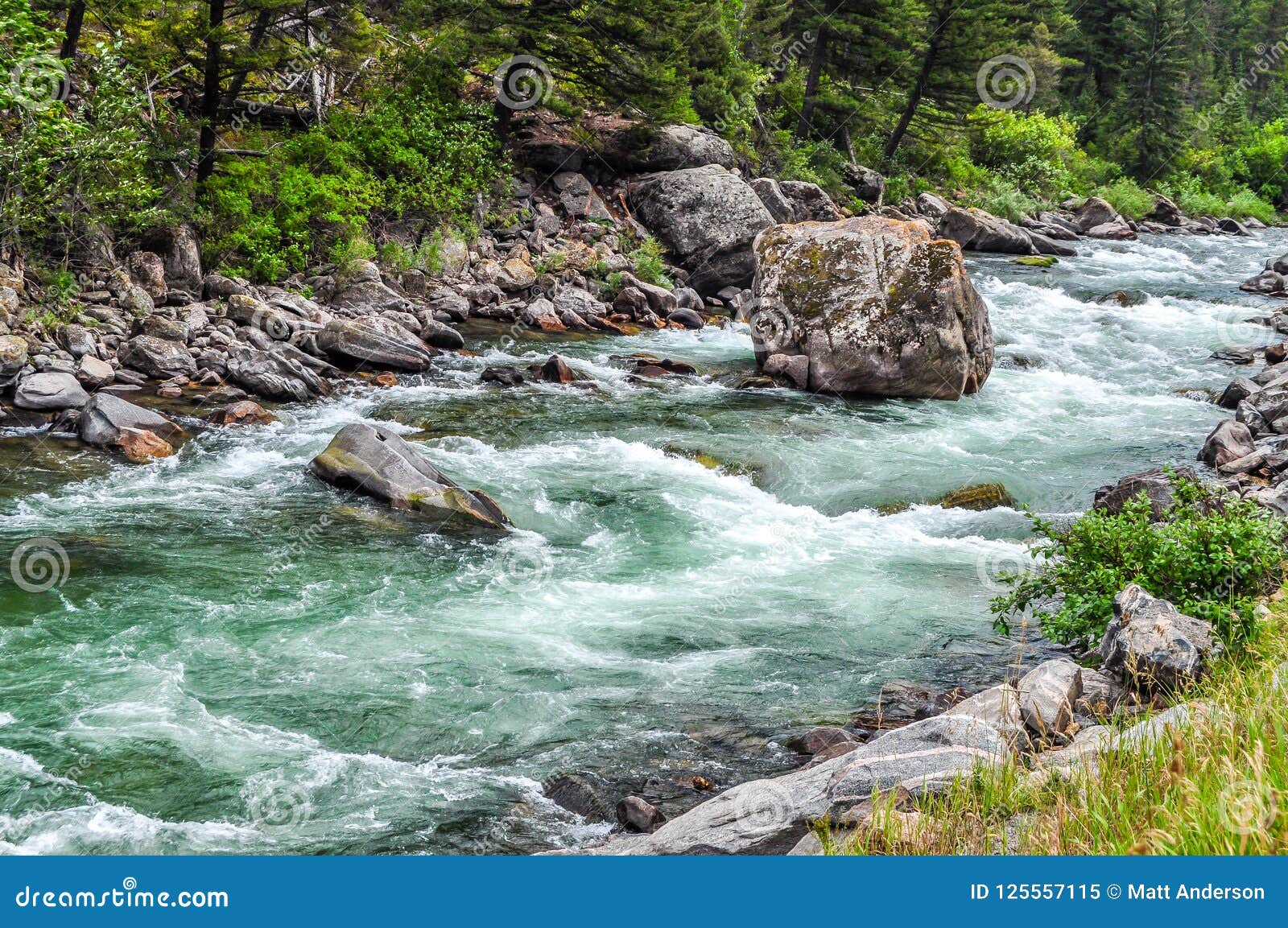 Rushing Rapids of the Gallatin River Stock Image - Image of blue ...