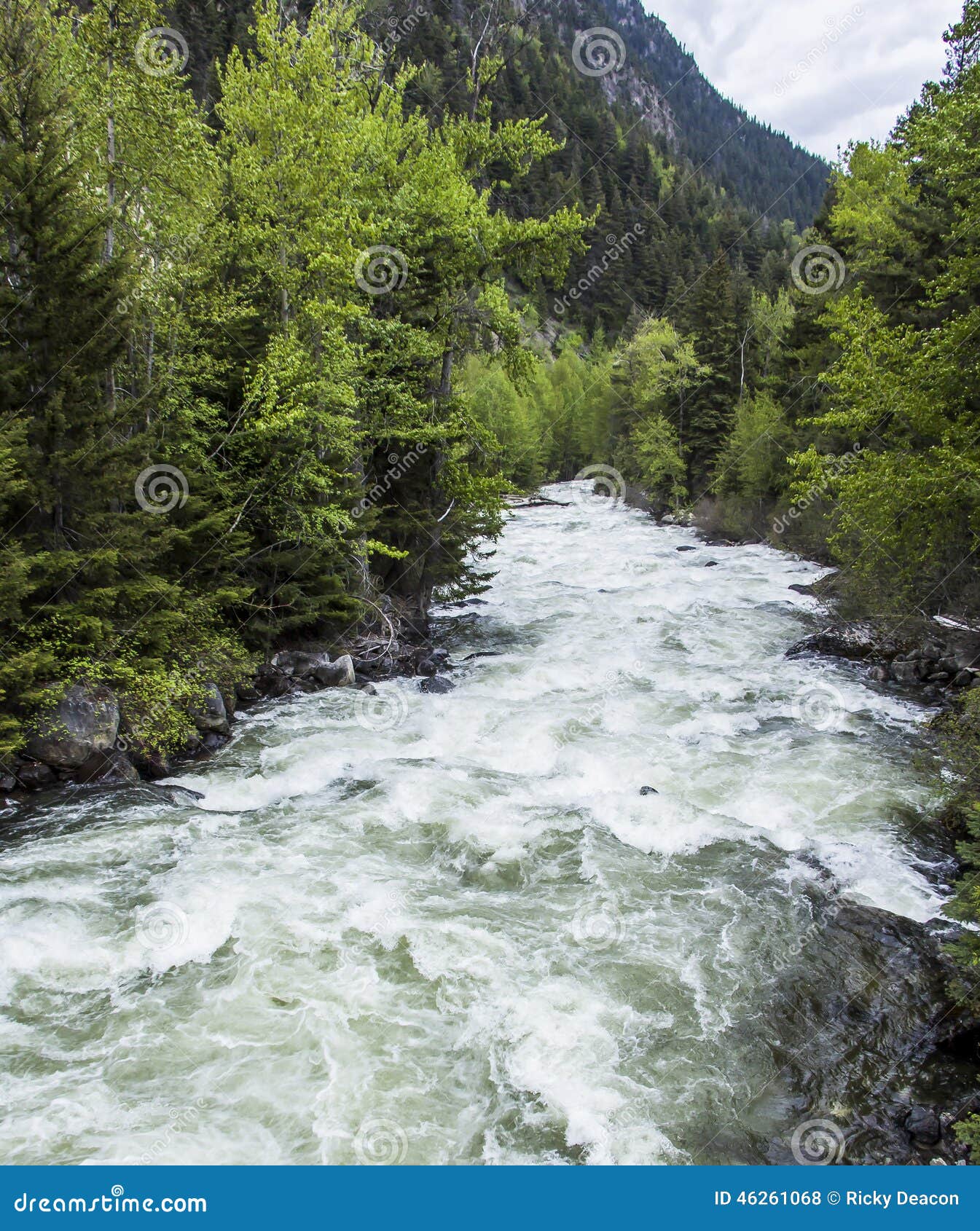White Water Rapids stock photo. Image of altitude, canada - 46261068