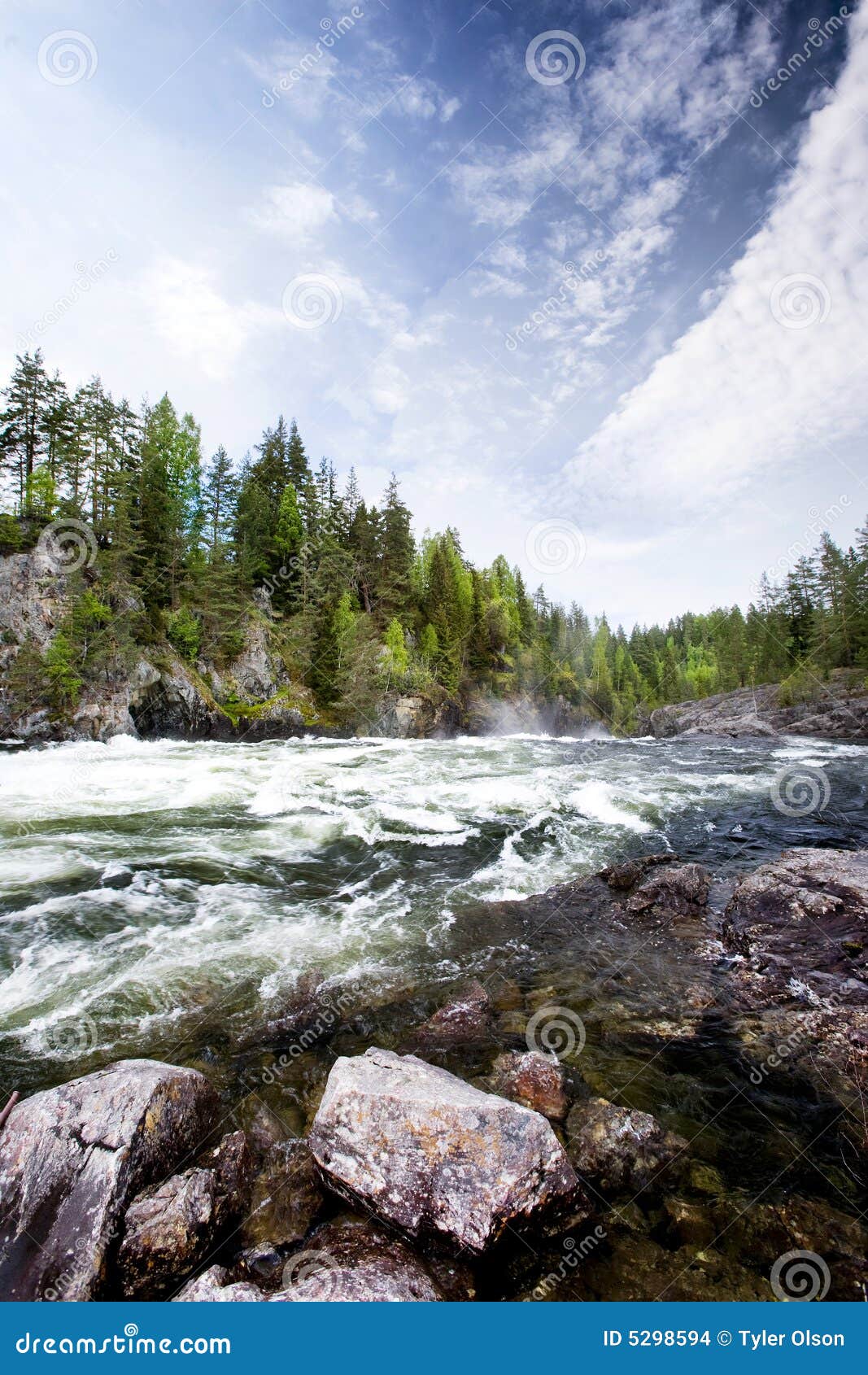 White Water River stock photo. Image of water, nature - 5298594