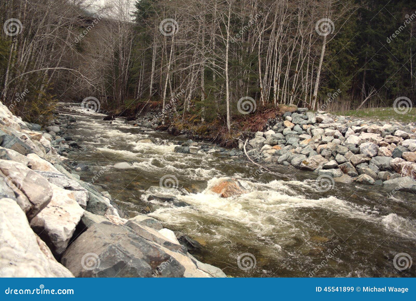 White water river stock image. Image of white, river - 45541899