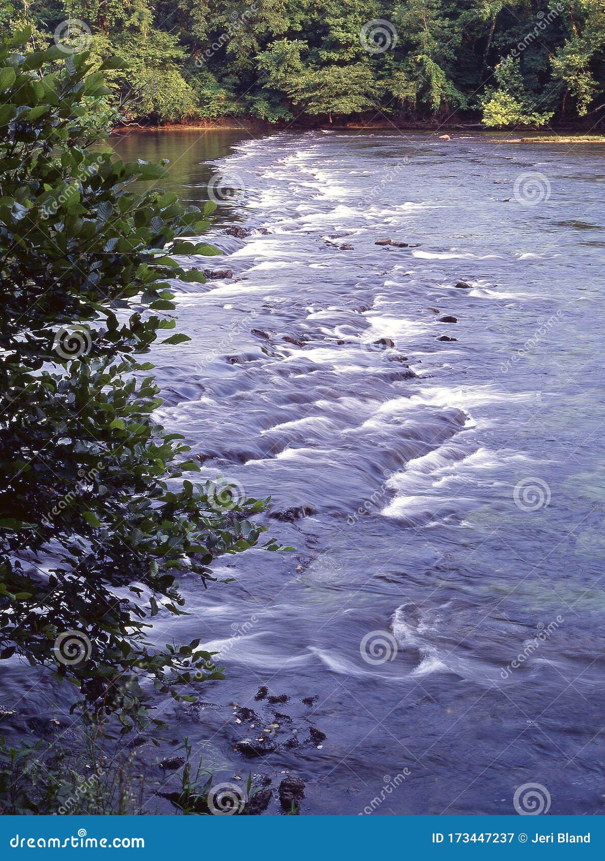 White Water Swift Current in a Mountain River Stock Image - Image of ...