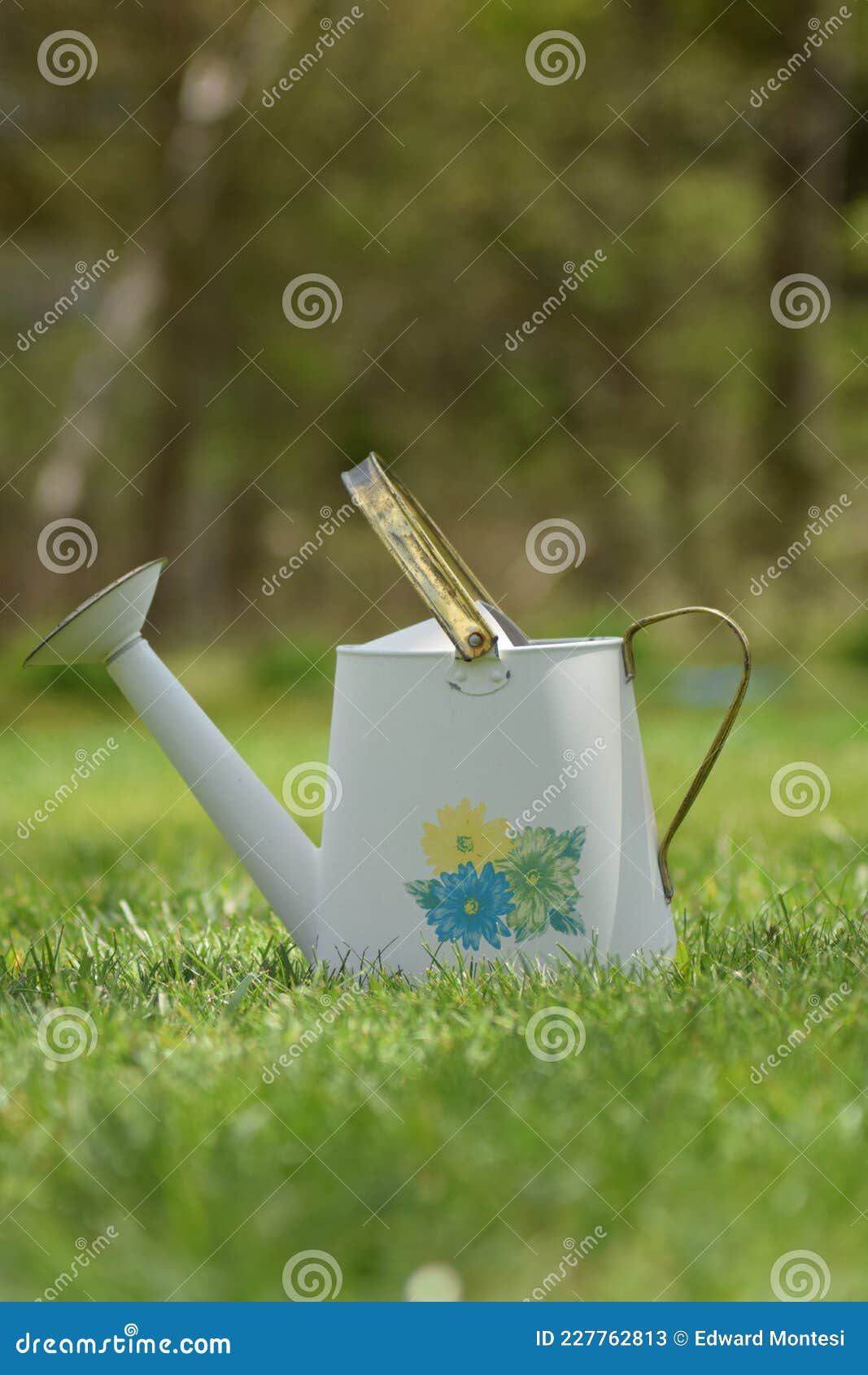 A White Watering Cane in the Grass Stock Image - Image of meadow ...
