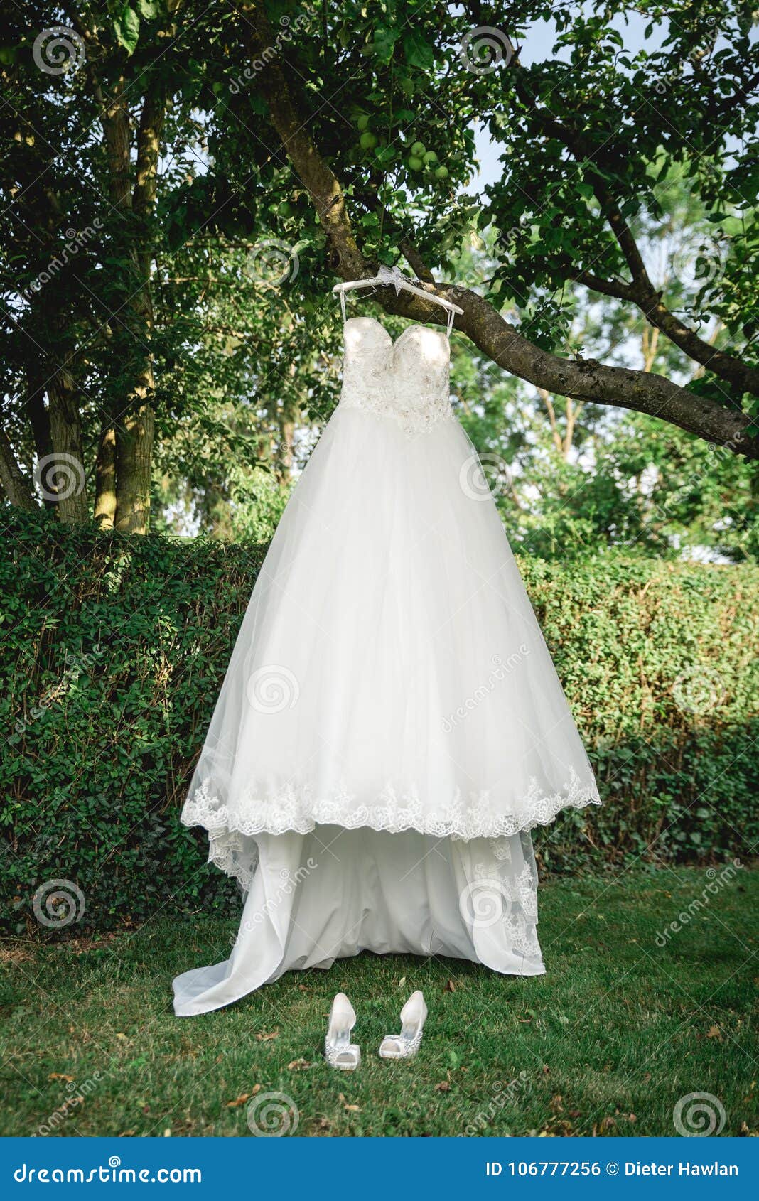 White Wedding Dress on a Tree Stock Photo - Image of marriage, female ...