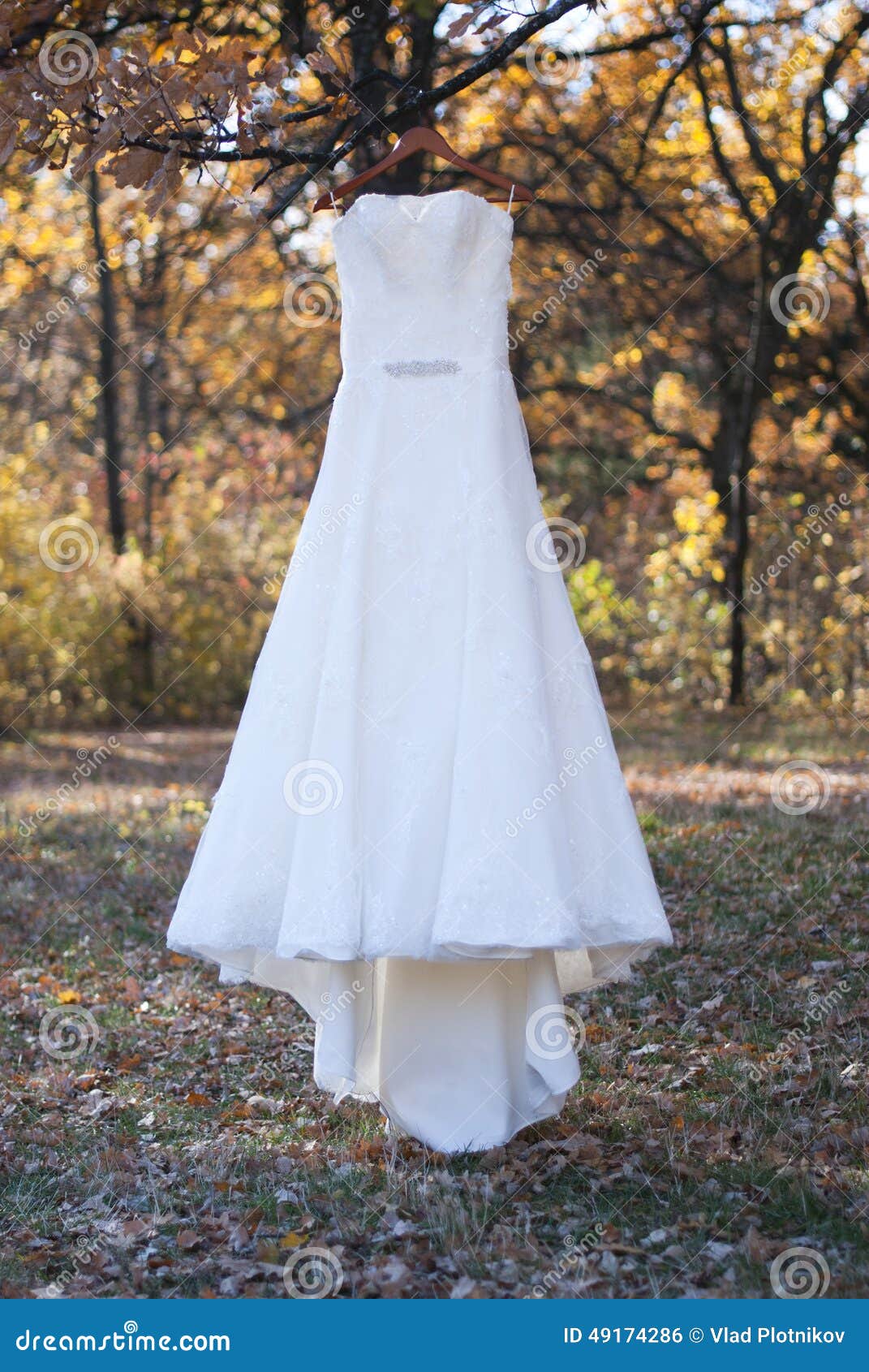 White Wedding Dress on the Tree Stock Photo - Image of elegant, park ...