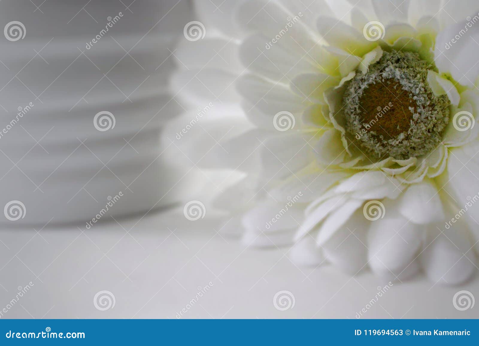 White Wedding Flower Decoration Stock Image - Image of wedding, white ...