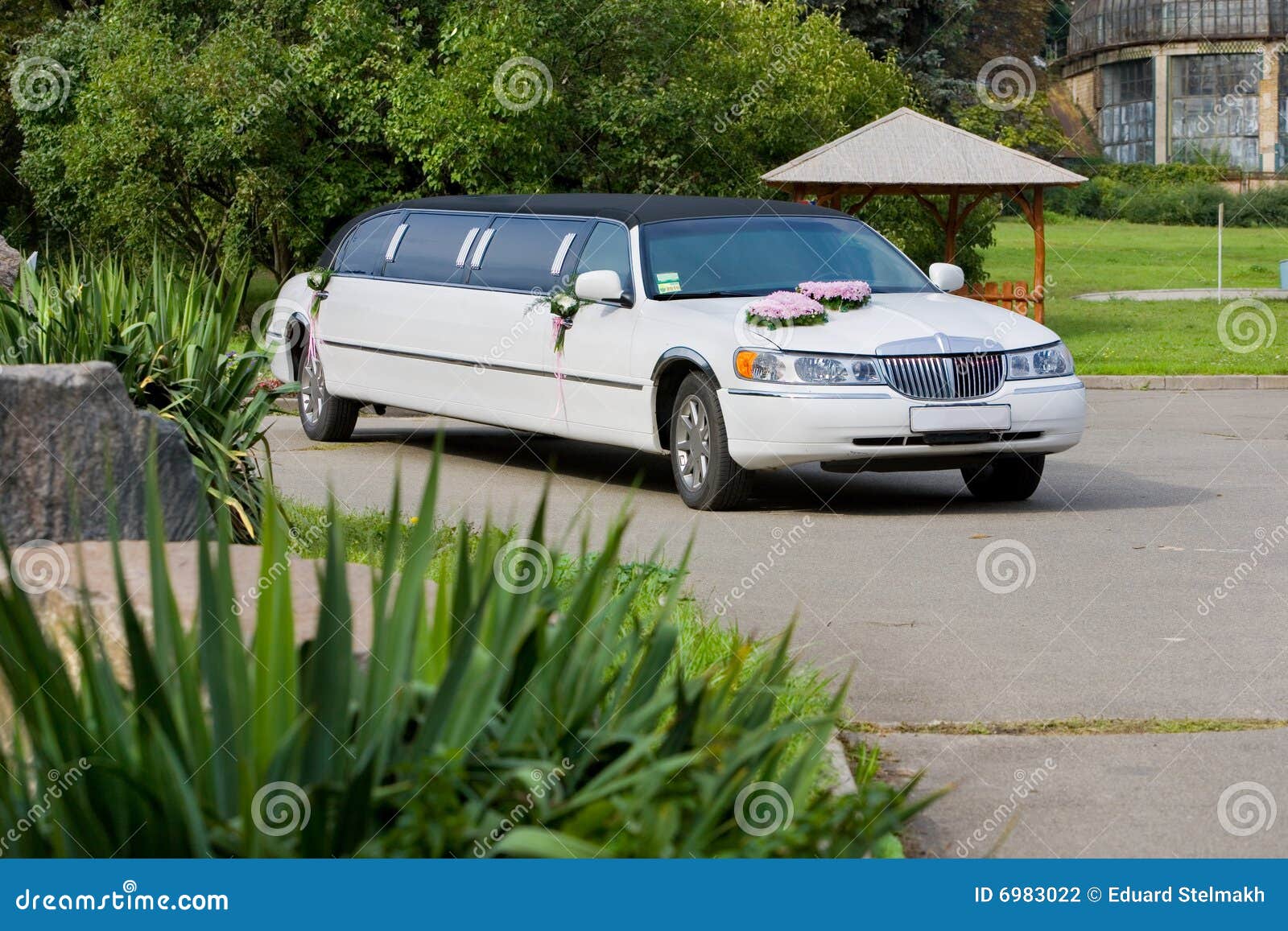 White Wedding Limousine. Ornated with Flowers Stock Photo - Image of ...