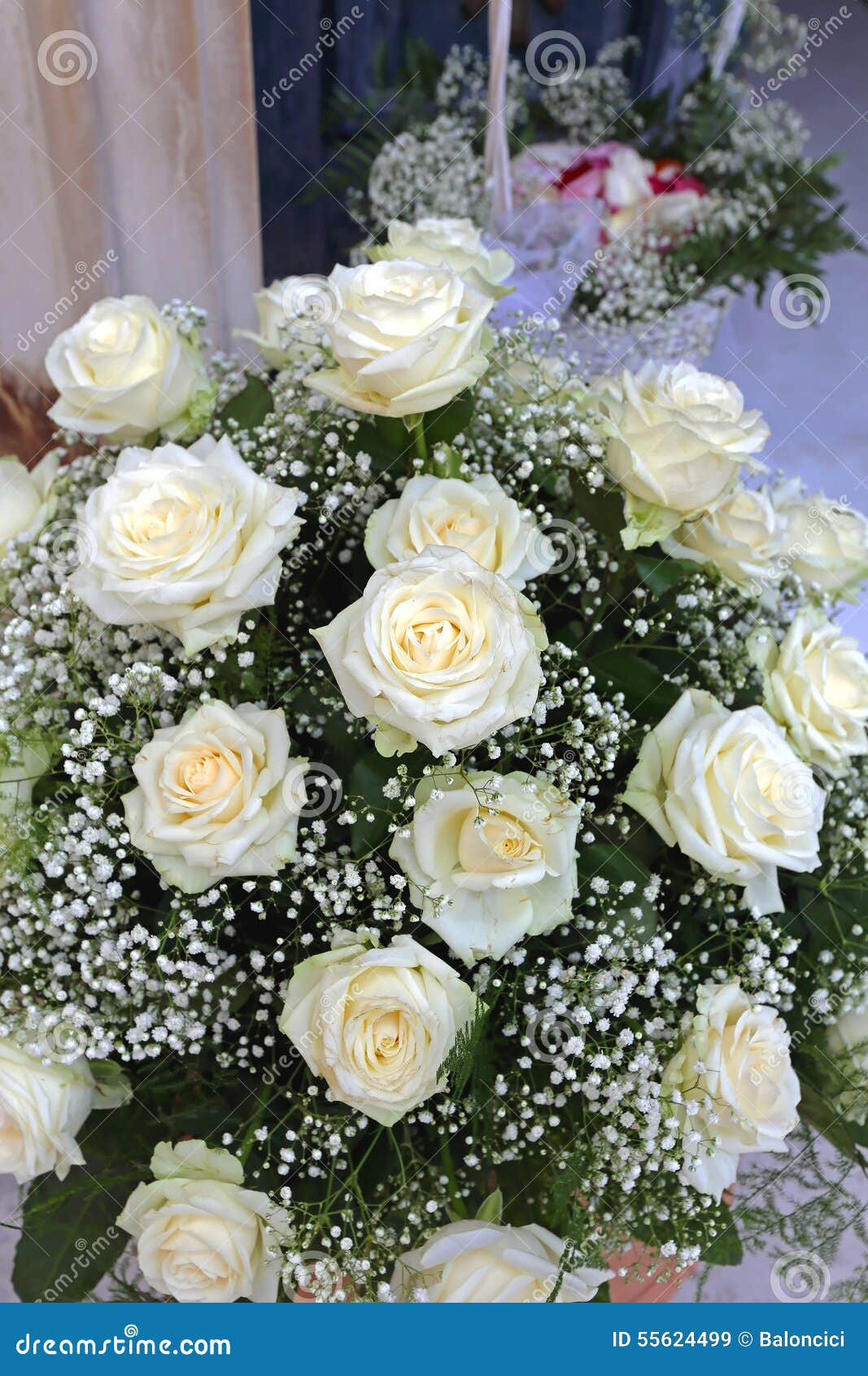 White Wedding Roses stock image. Image of rose, flowers - 55624499