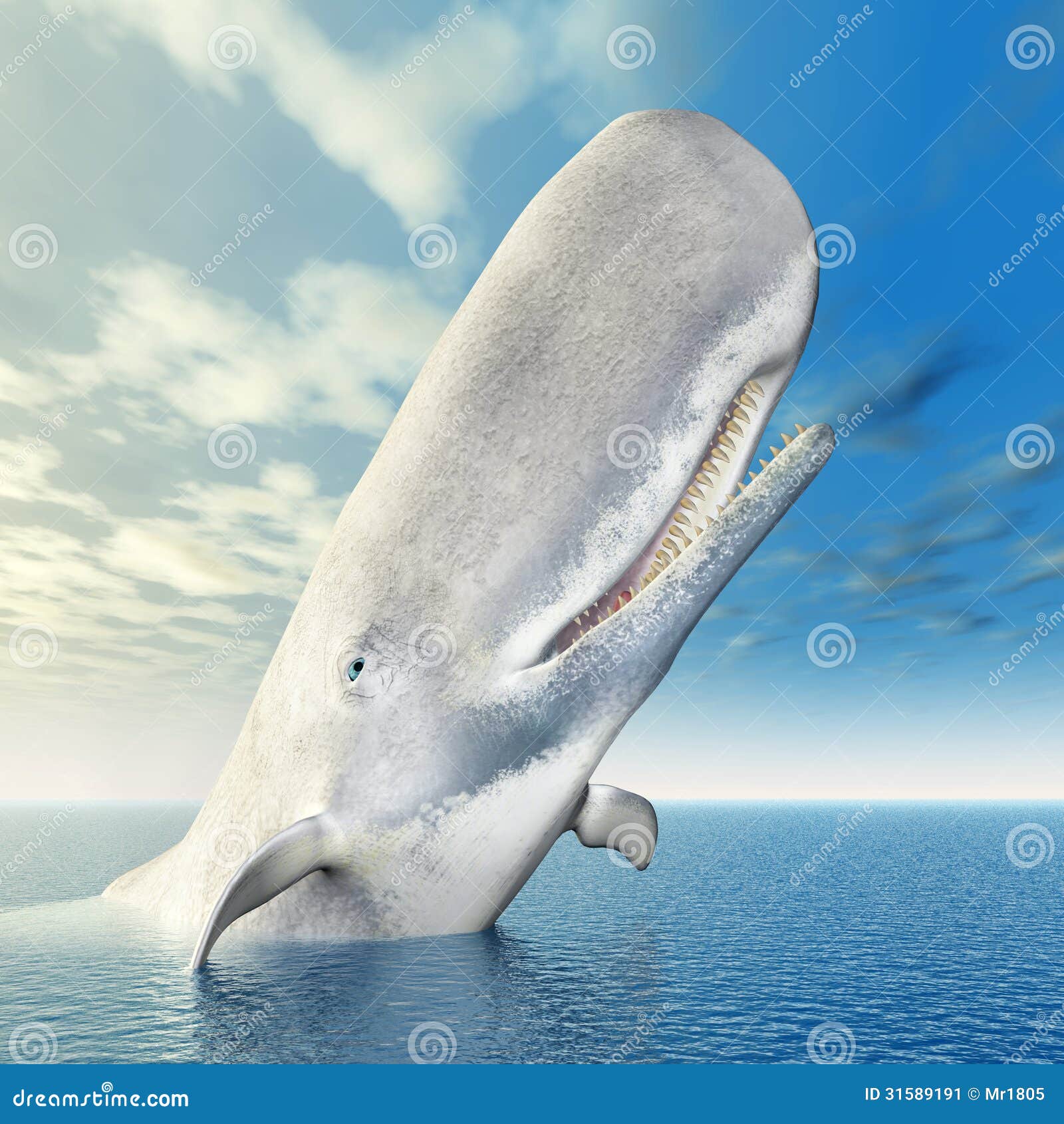 White Whale stock illustration. Illustration of blue - 31589191