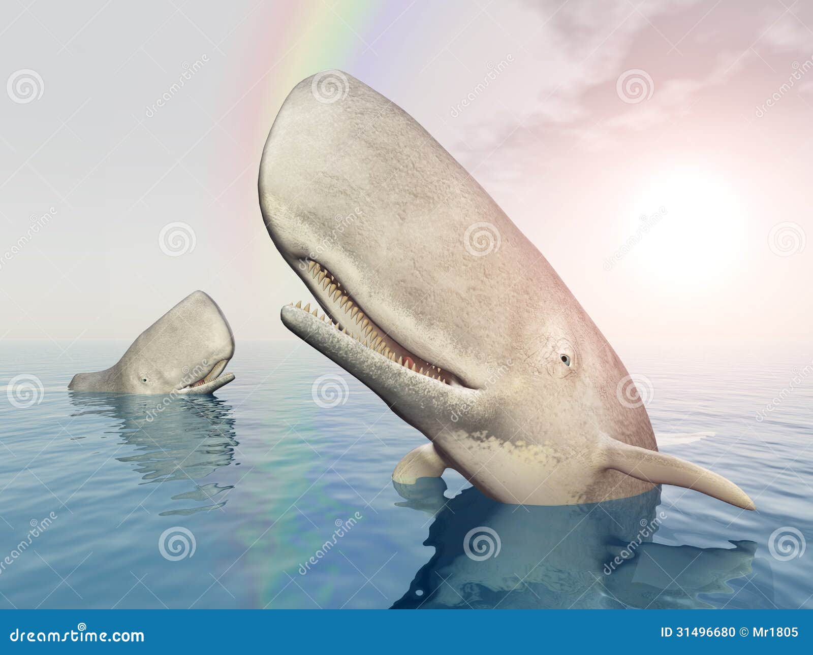 White Whales Tail On Rustic Wood Background Cartoon Vector ...