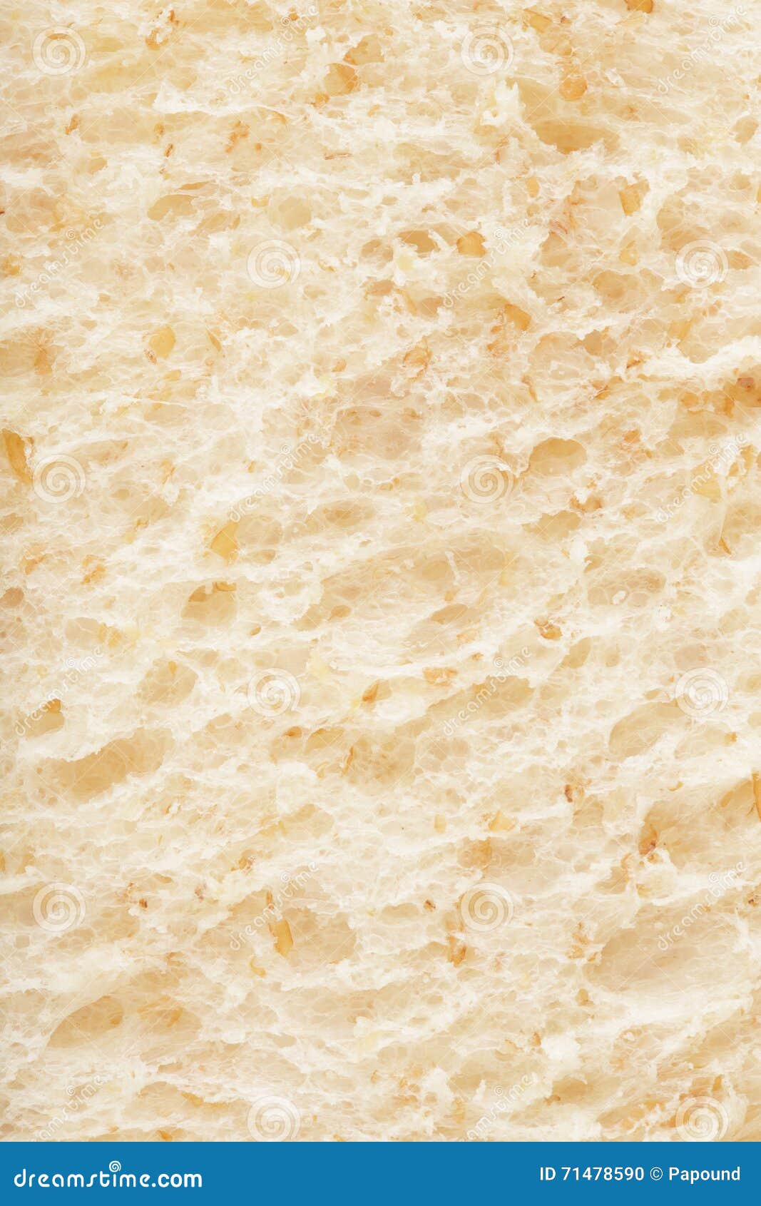 White Whole Wheat Bread Slice Close Up Texture Background Stock Photo ...