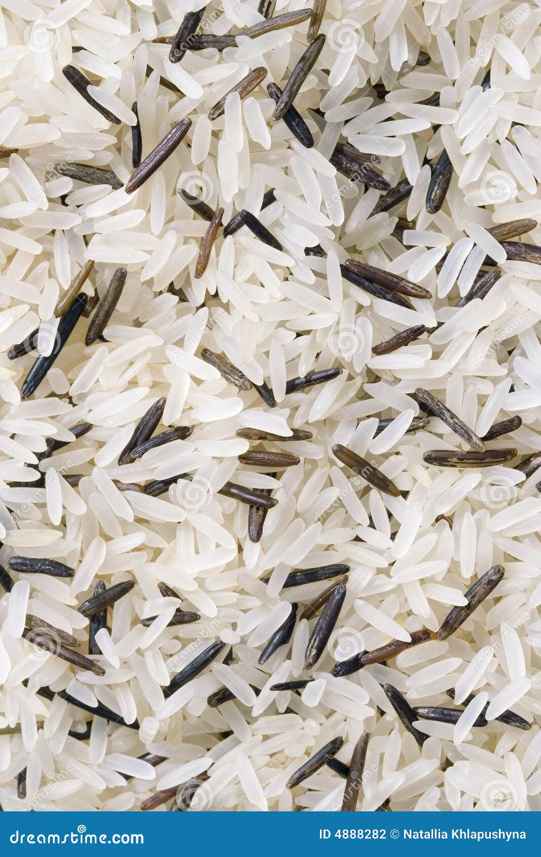 White and wild rice stock photo. Image of carbohydrates - 4888282