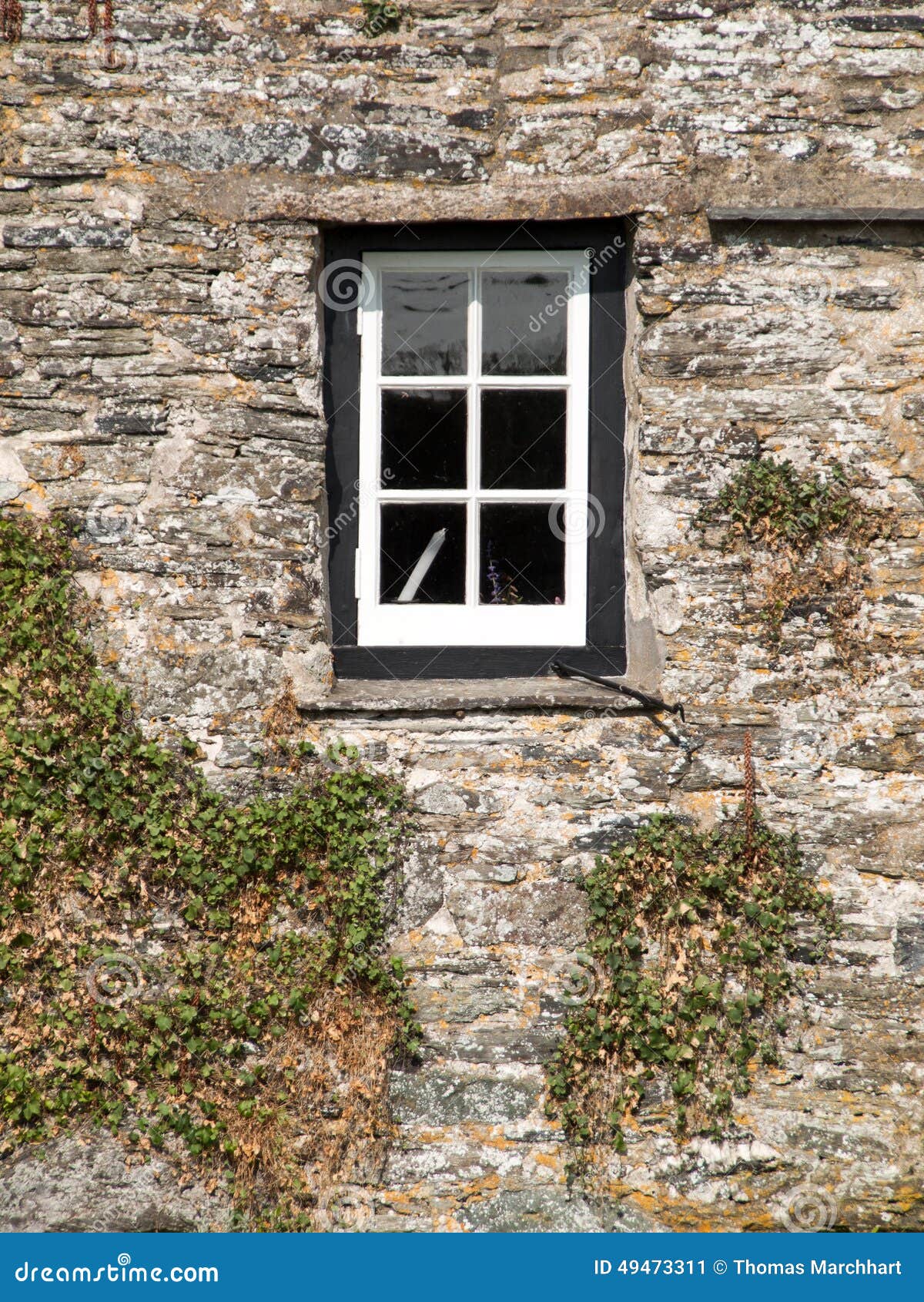 White Window in a Black Frame Stock Image - Image of green, brown: 49473311
