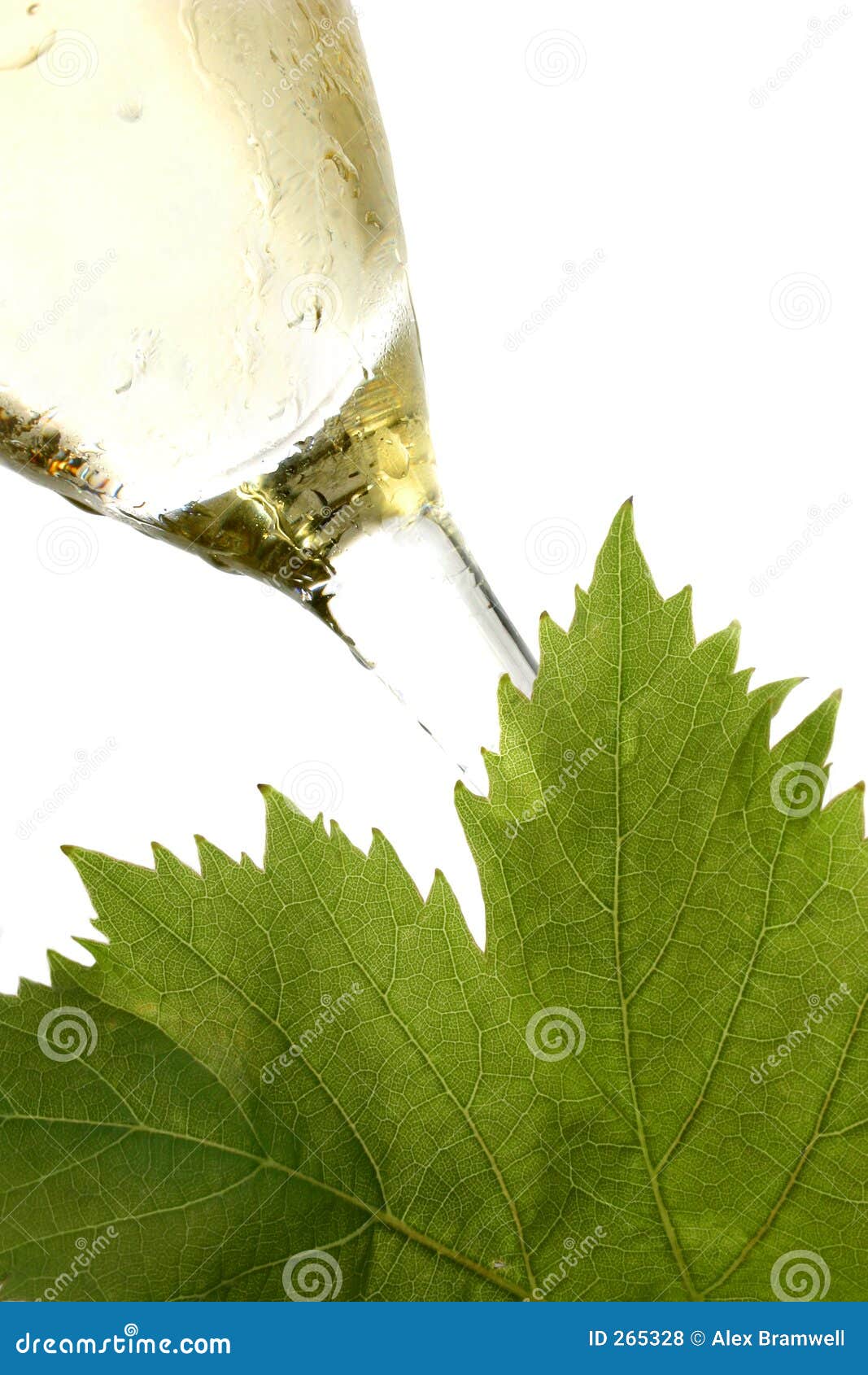 White Wine stock photo. Image of natural, isolated, vine - 265328