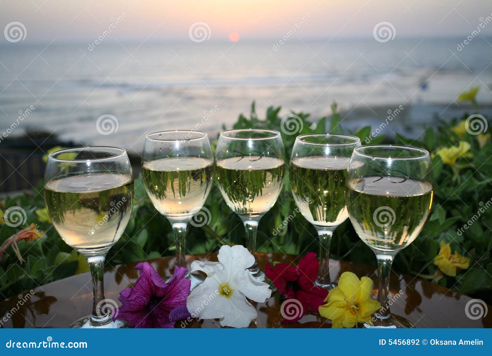 White wine stock photo. Image of climate, sunbeam, vibrant - 5456892