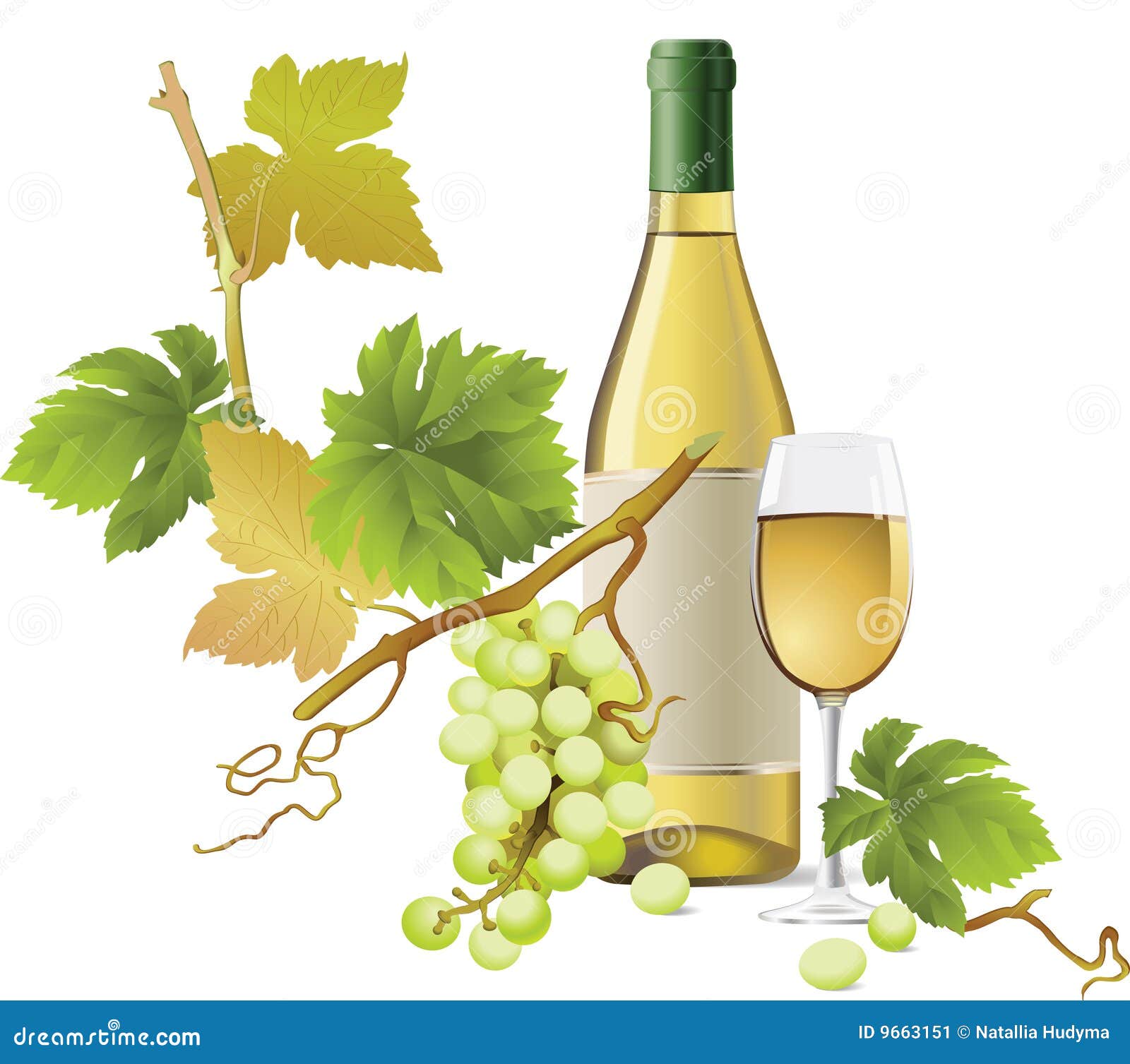 White Wine Map. Wine Production Map Showing Grape Varieties. Vector ...