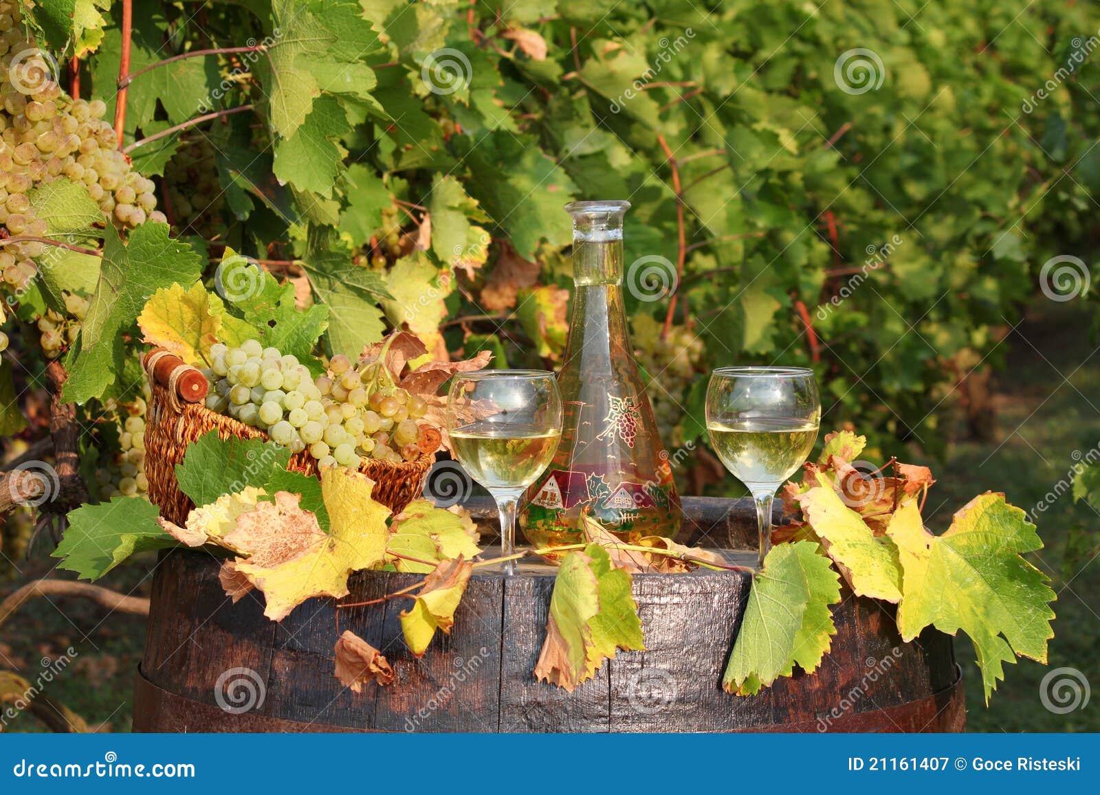 White wine autumn scene stock image. Image of nature - 21161407