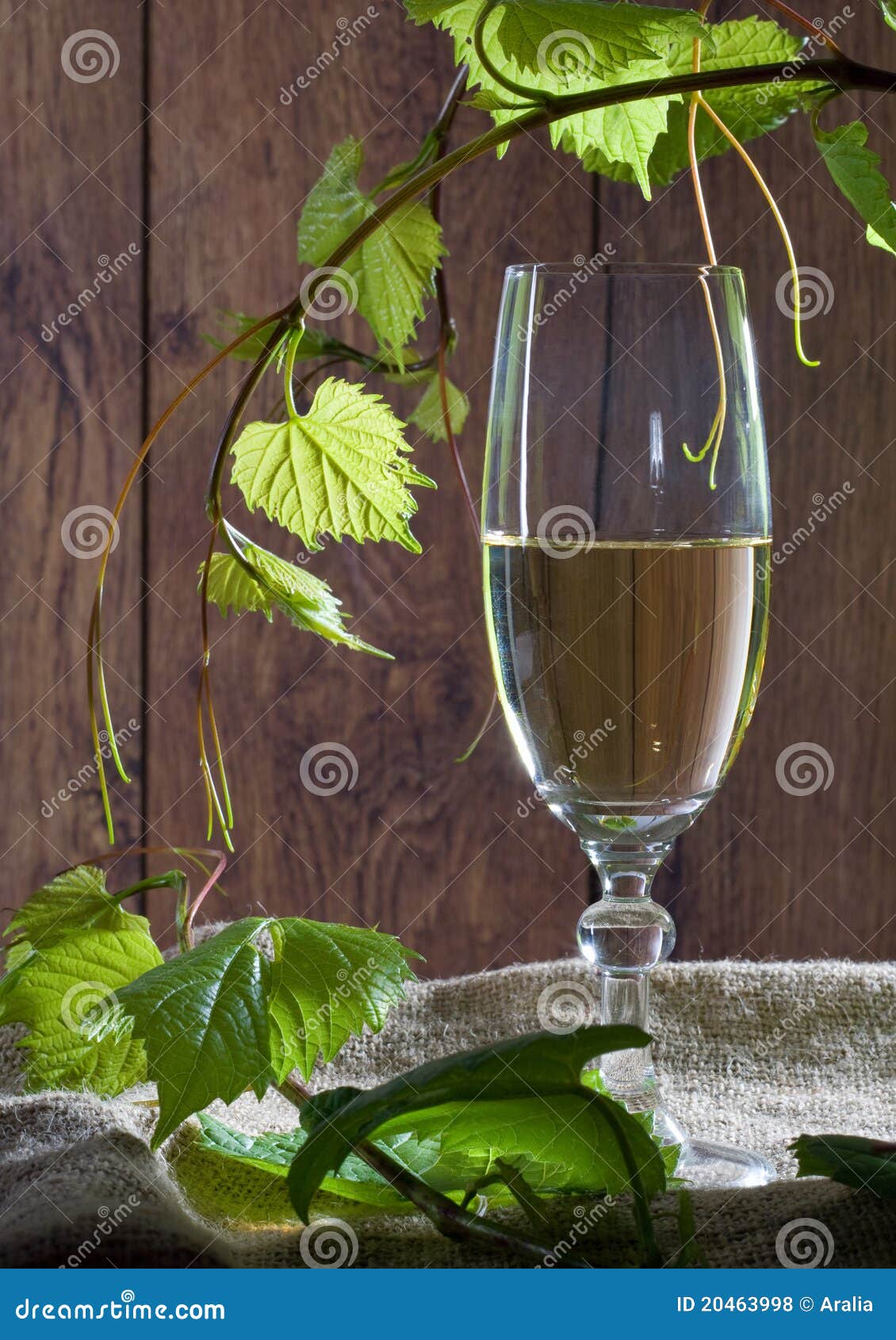 White wine in the glass stock photo. Image of celebration - 20463998