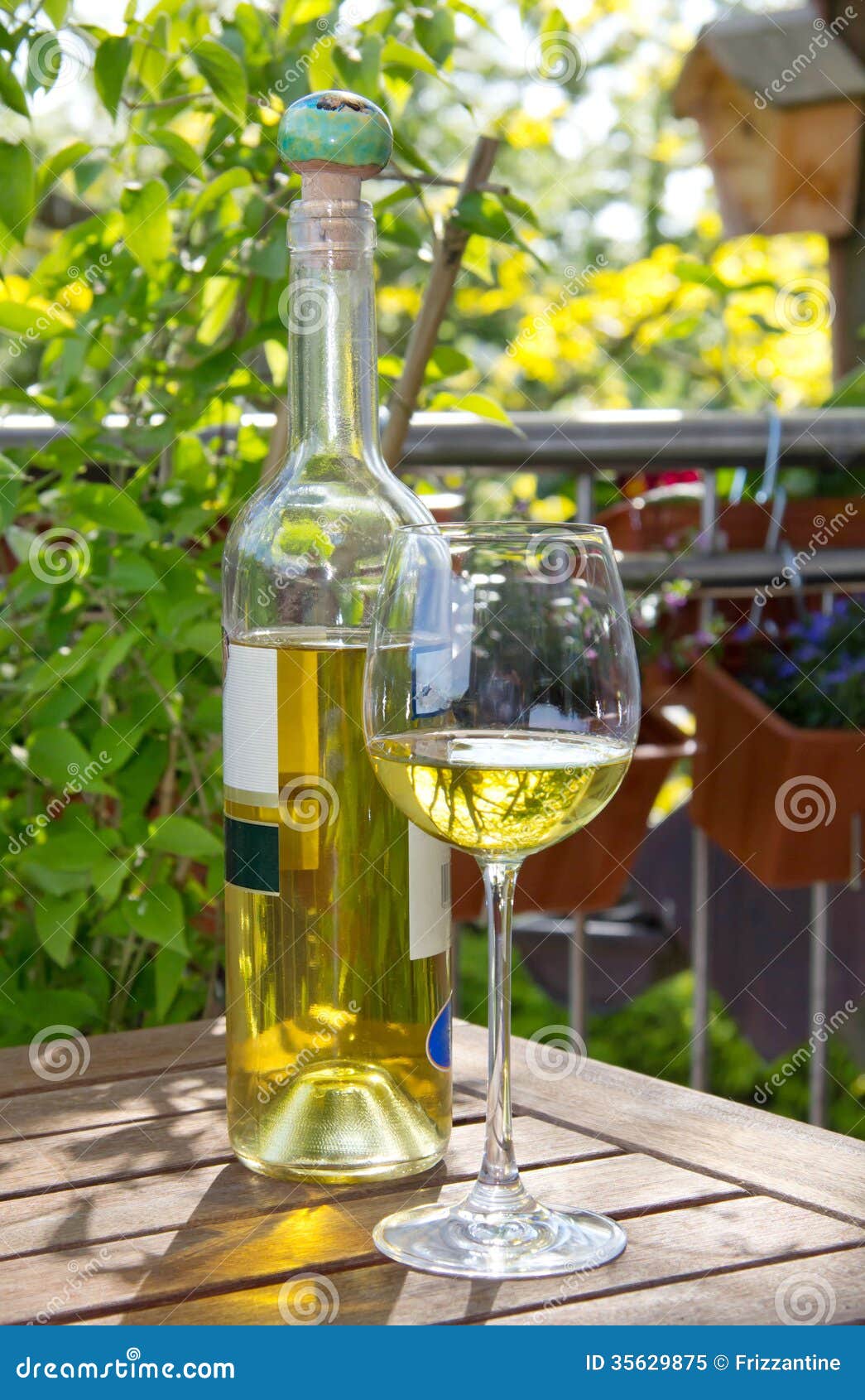 White Wine Served in Garden Stock Image - Image of leaves, outdoors ...