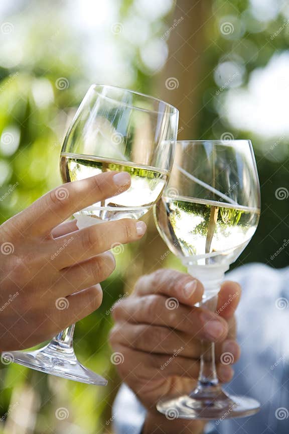 White wine toast stock photo. Image of glasses, bonding - 7446476