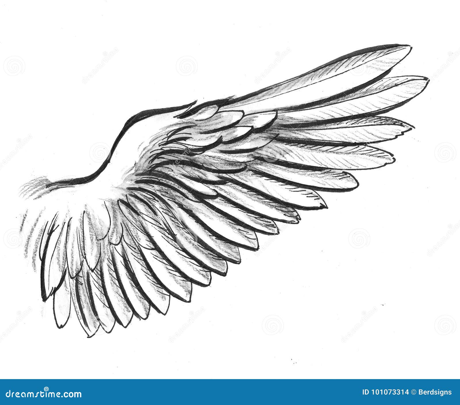 White wing stock illustration. Illustration of wing - 101073314