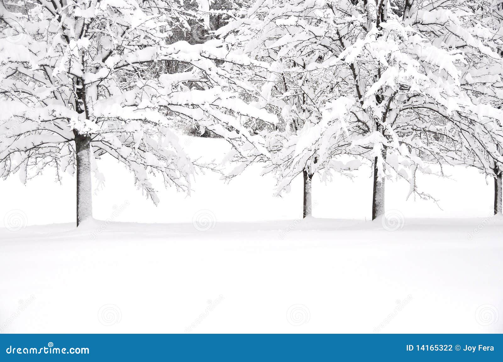 White Winter stock photo. Image of blue, crisp, cold - 14165322