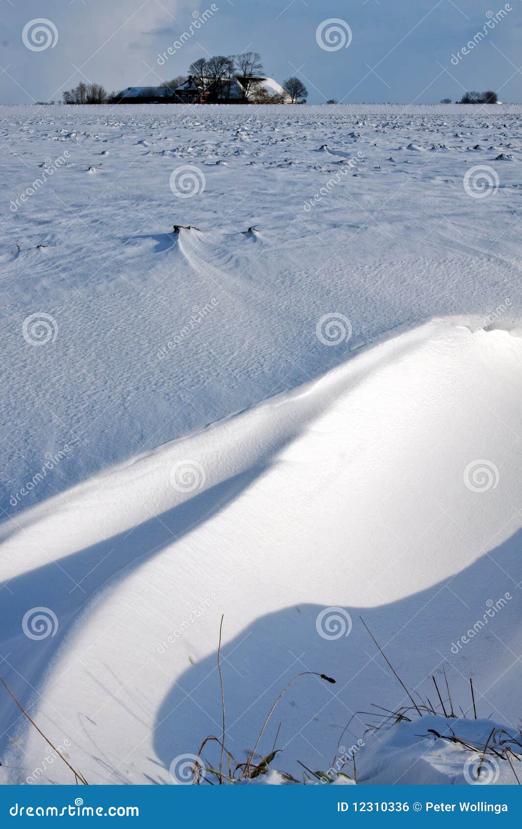 White Winter Landscape of Field with Farm Stock Photo - Image of ...