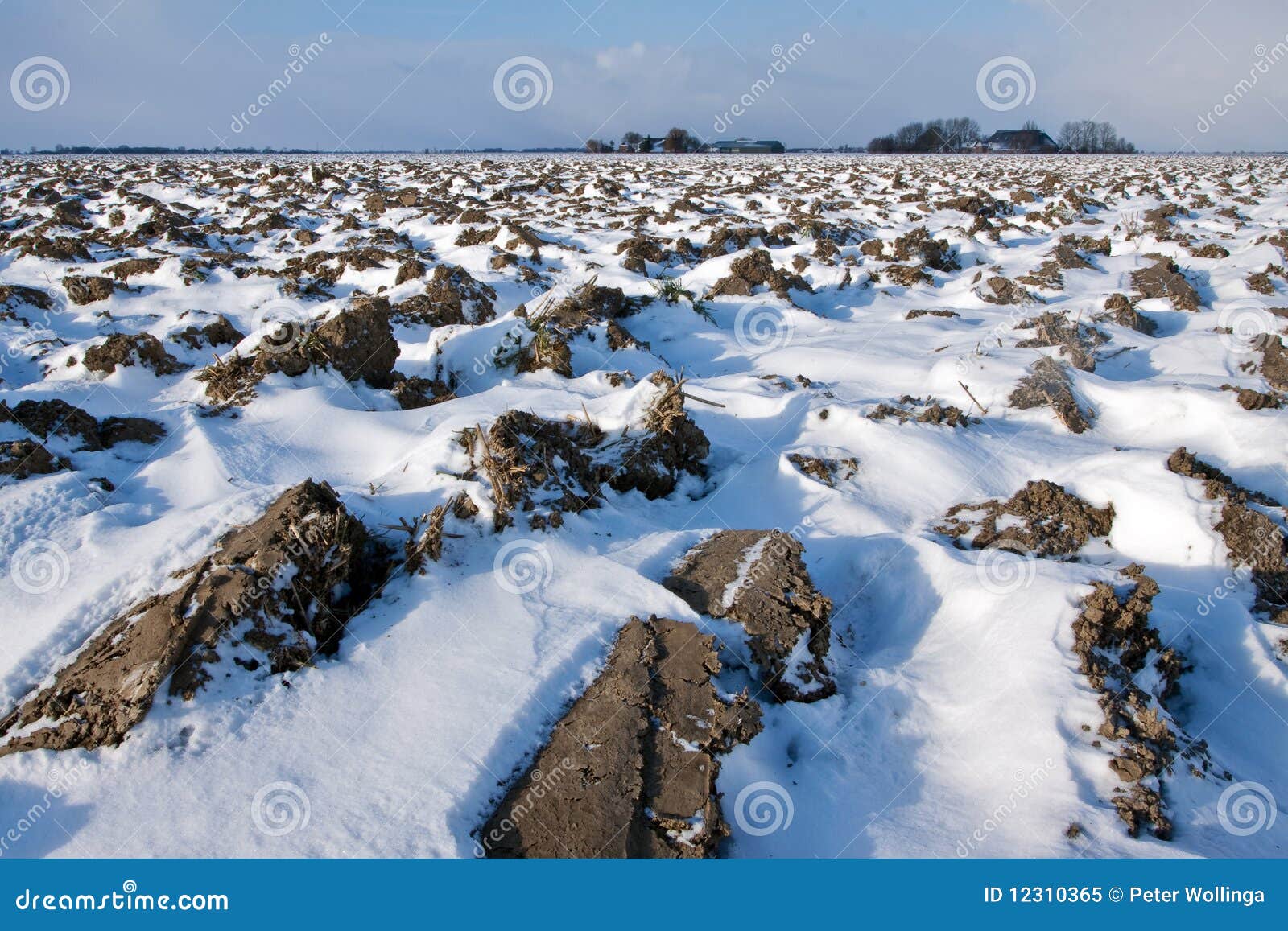 White Winter Landscape of Field with Farm Stock Image - Image of ...