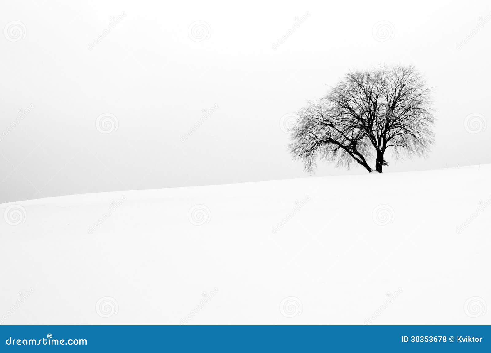 White Winter Scene with One Tree Stock Photo - Image of landscape ...