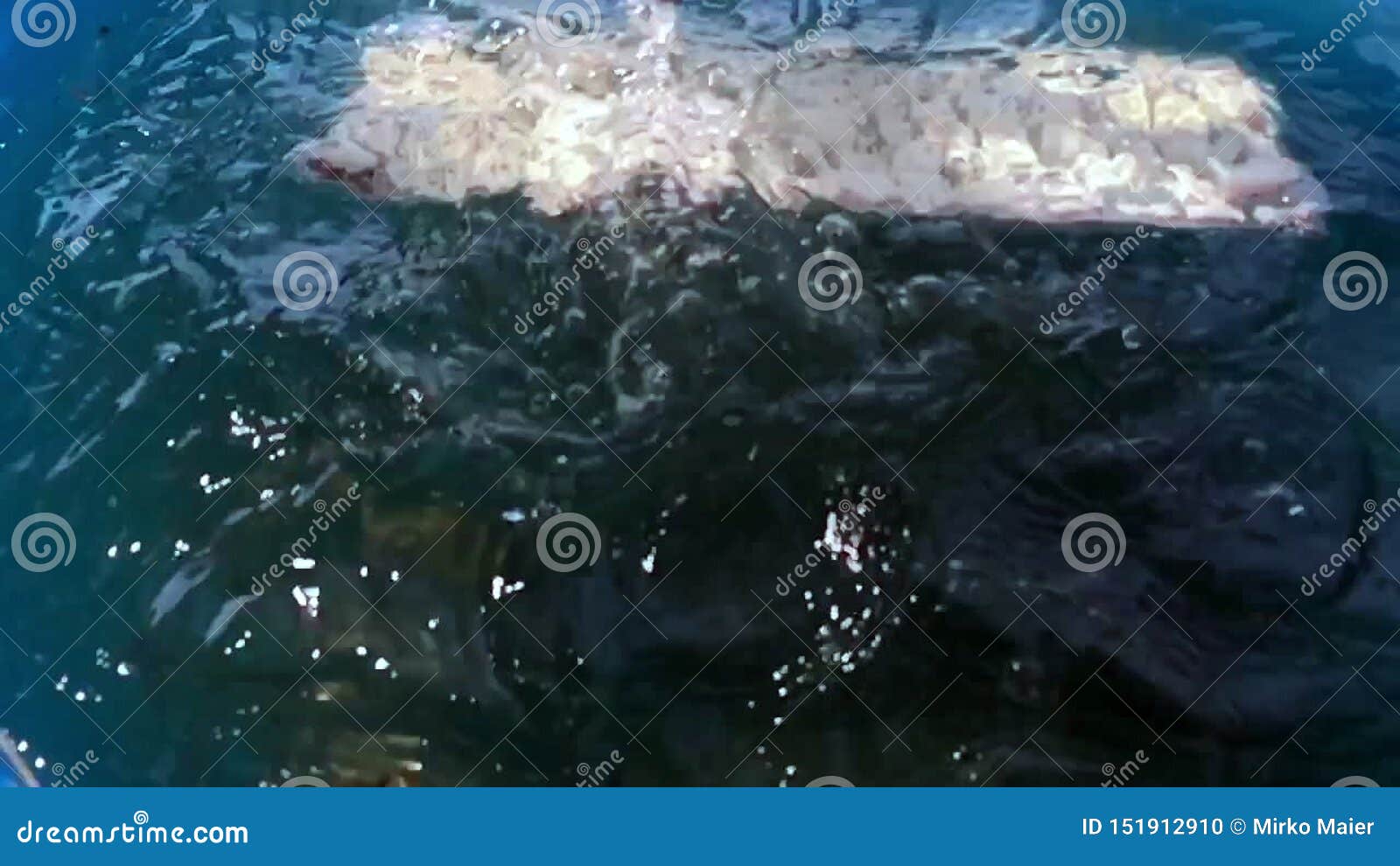 White Wireless Computer Keyboard Falling into the Water Spraying Stock ...