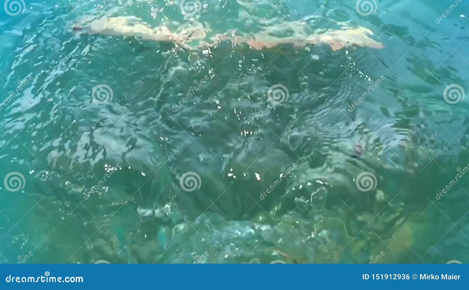 White Wireless Computer Keyboard Falling into the Water Spraying Stock ...