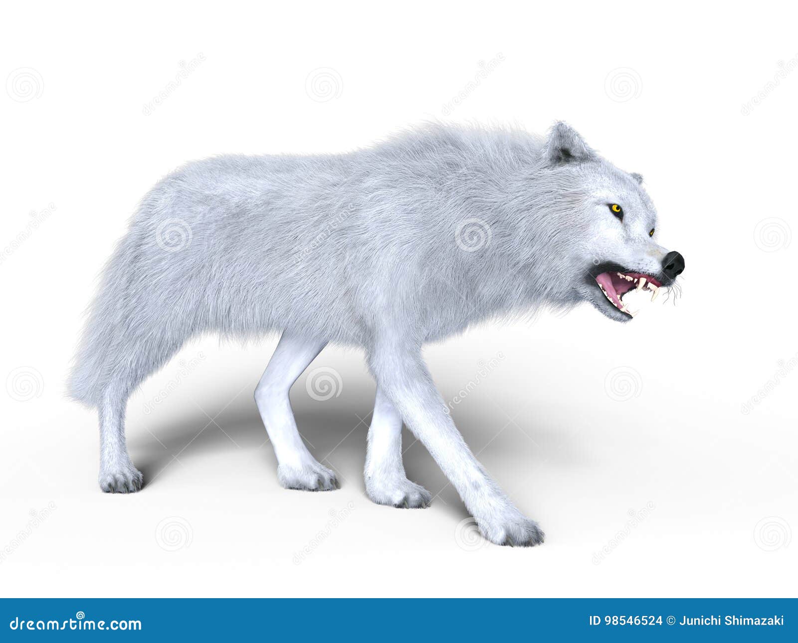 White wolf stock photo. Image of white, wildlife, wolf - 98546524