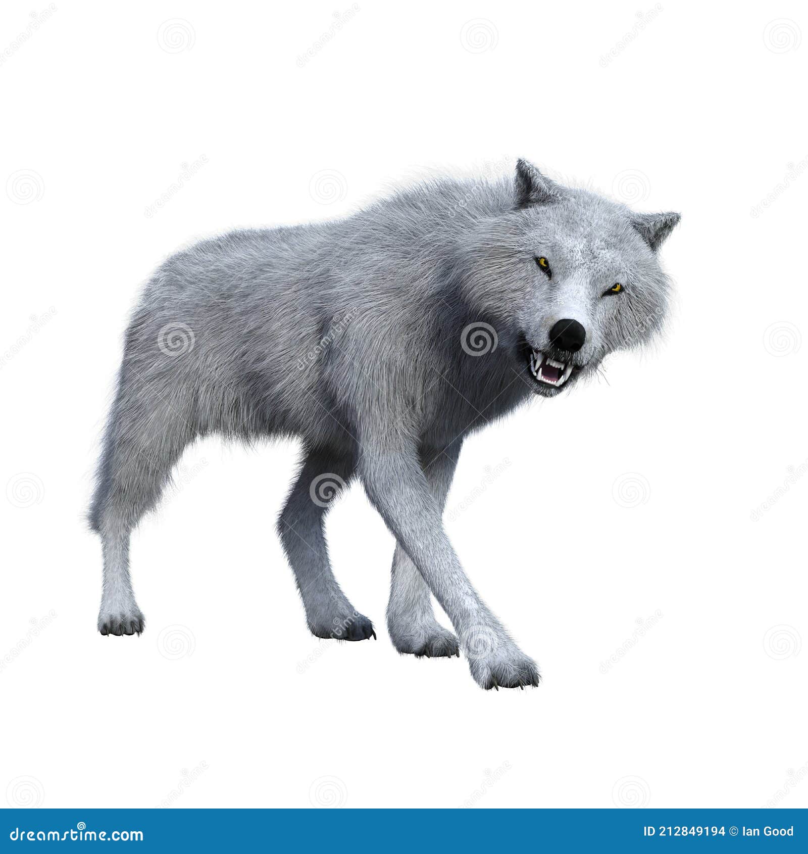 Snarling White Wolf