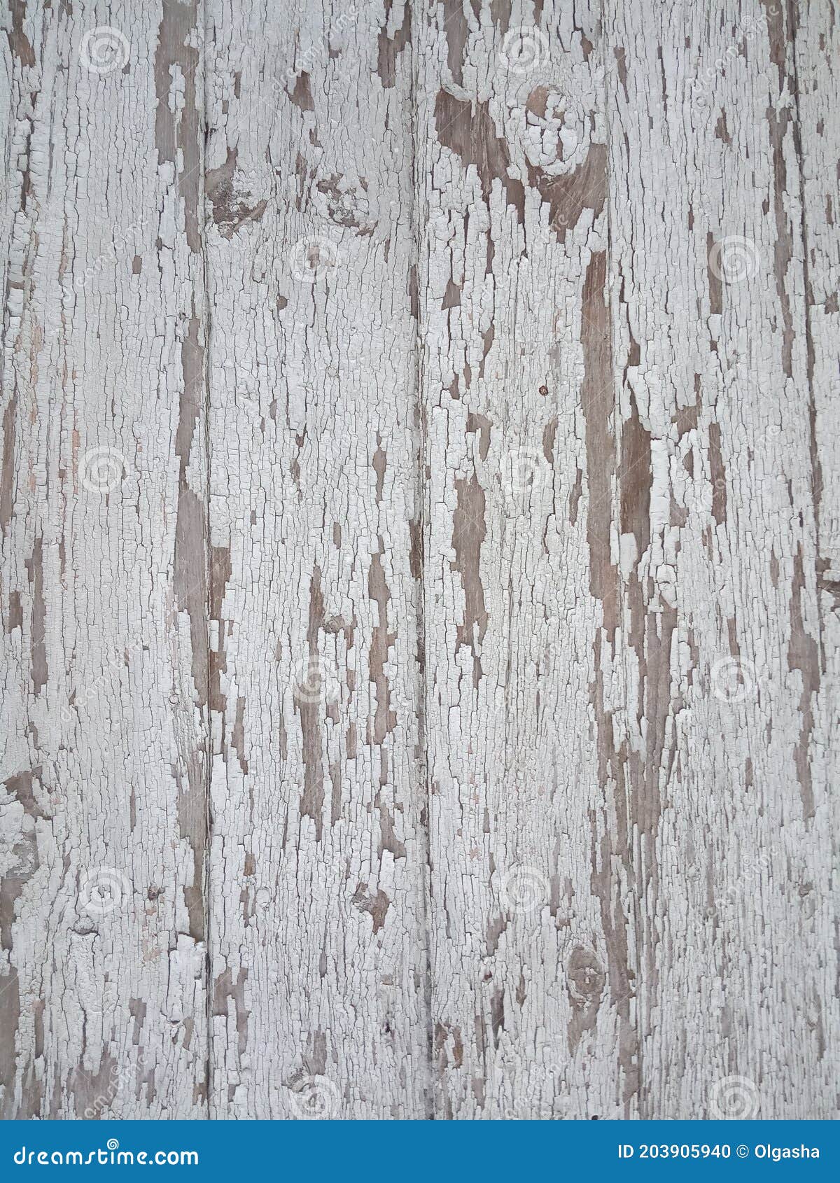 White and Wood Background, Vintage Timber Texture Stock Photo - Image ...