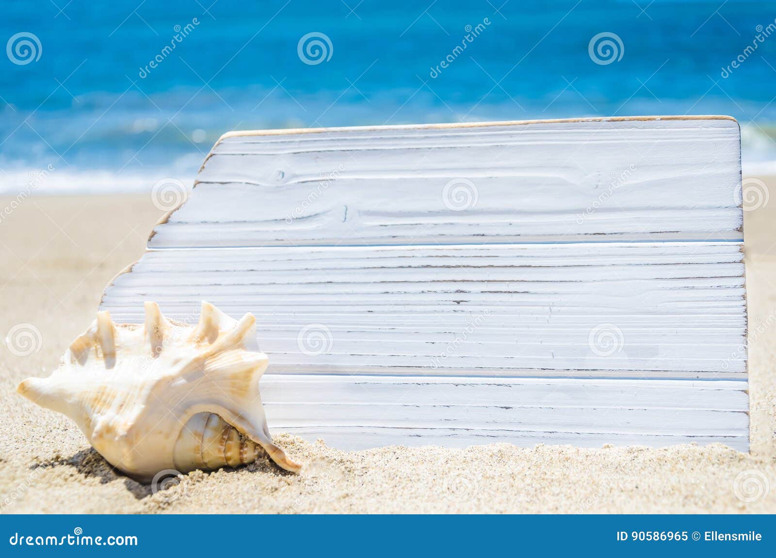 White Wood Board with Seashell on the Sandy Beach Stock Image - Image ...