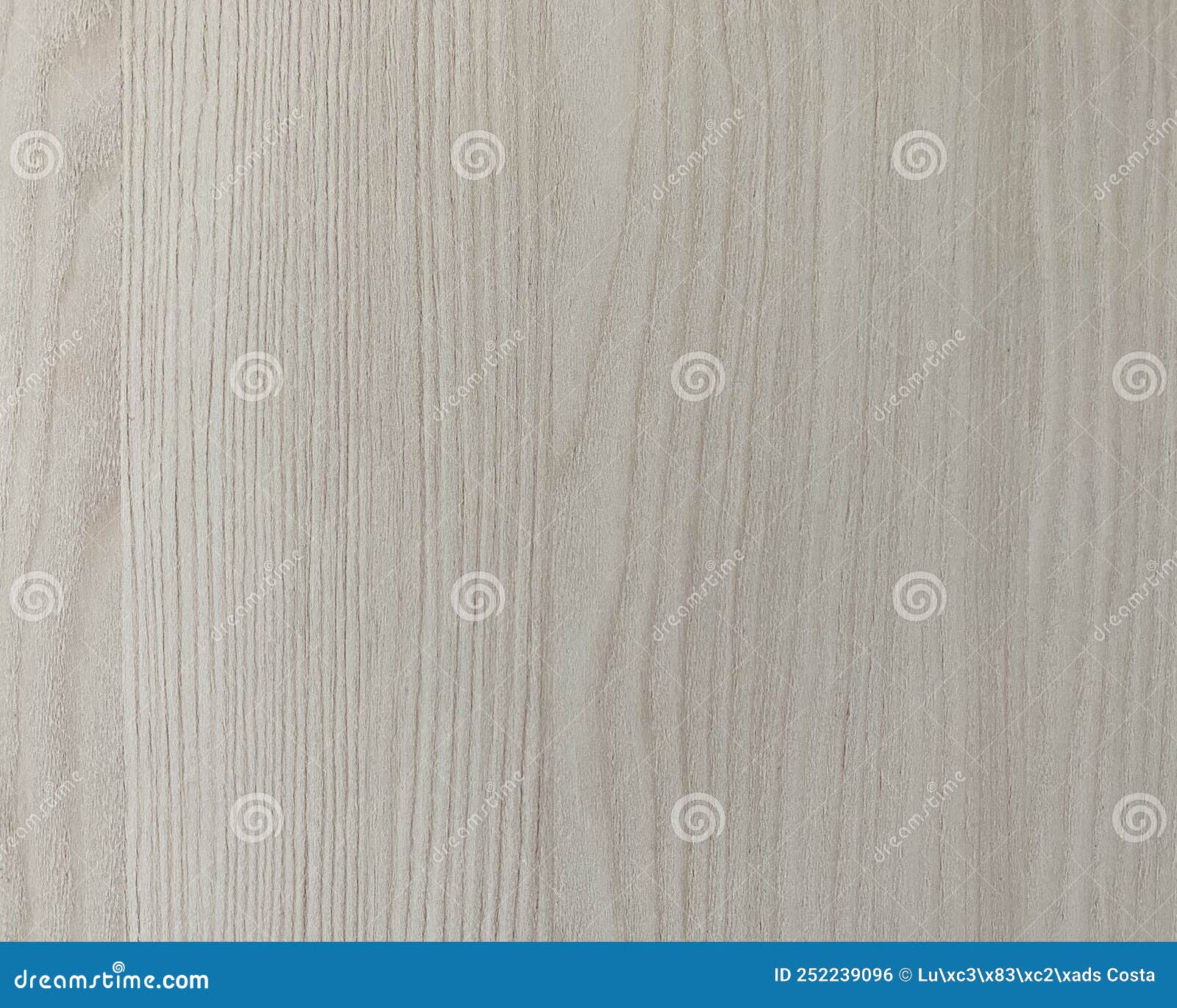 White wood plank texture stock photo. Image of color - 252239096