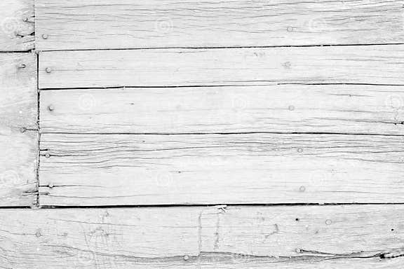 White Wood Surface Natural Texture Background Stock Image - Image of ...