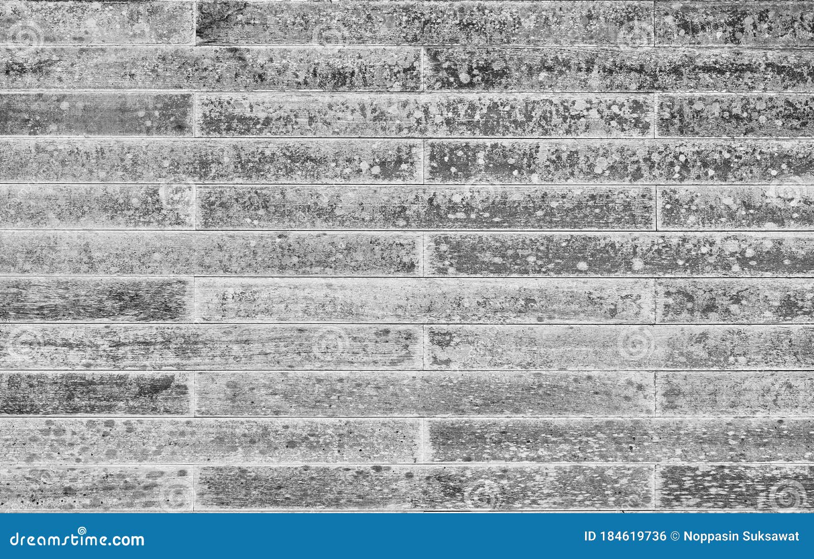 White Wood Texture with Natural Mold Patterns Background Stock Photo ...