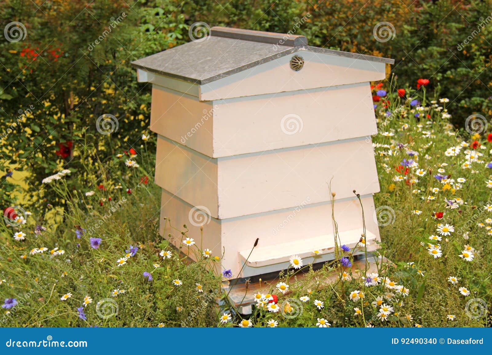 White Wooden Beehive. stock photo. Image of beehive, insect - 92490340