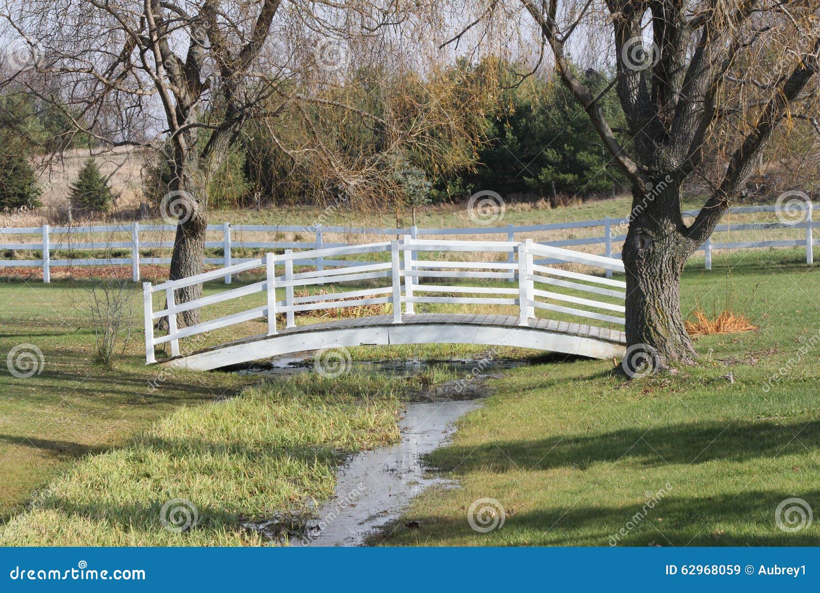 White Wooden Bridge stock image. Image of outdoor, grass - 62968059
